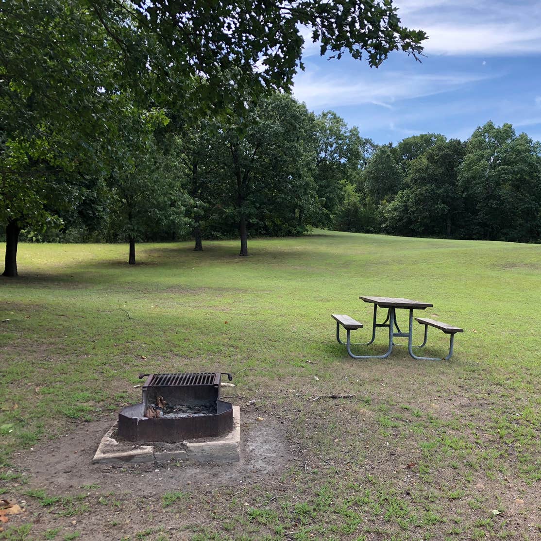 Spring Lake State Fish and Wildlife Area Camping | Manito, Illinois