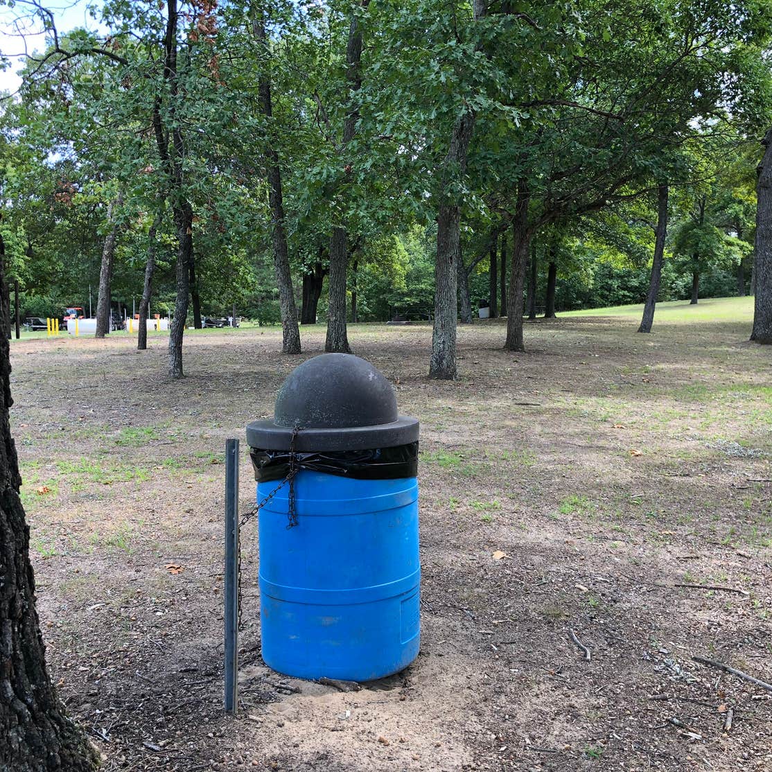 Spring Lake State Fish and Wildlife Area Camping | Manito, Illinois