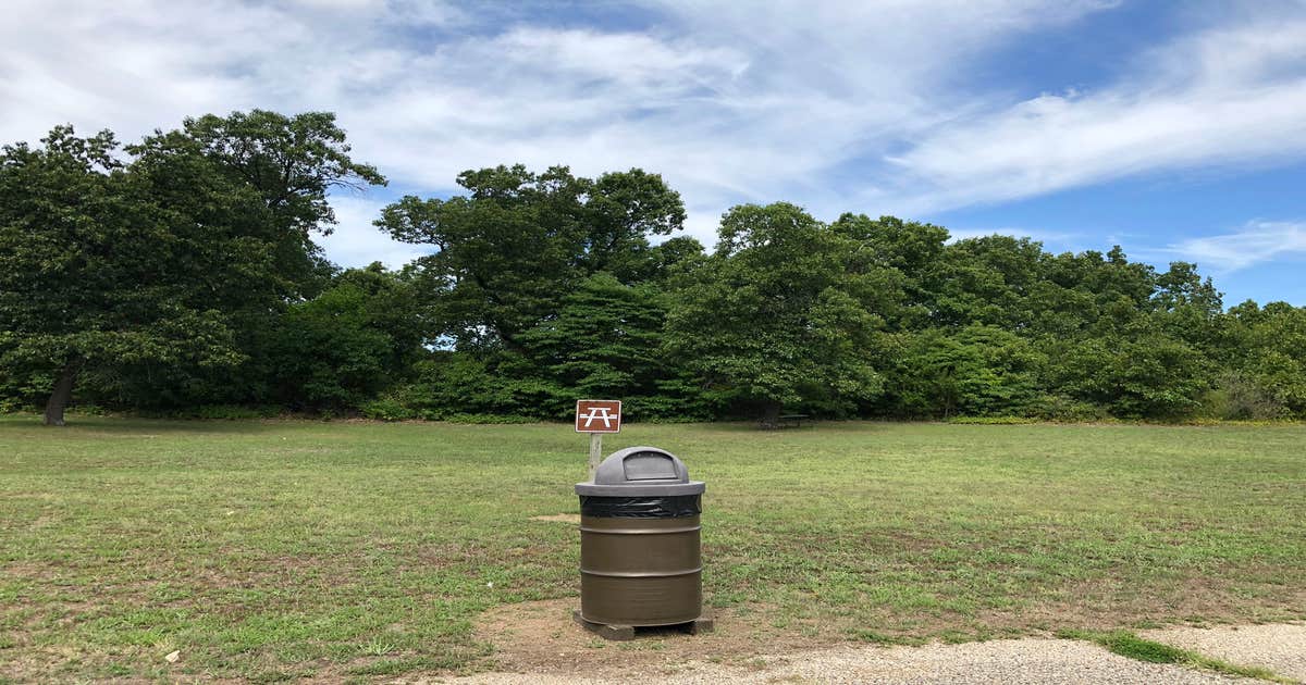 Spring Lake State Fish and Wildlife Area Camping | Manito, IL