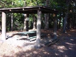 Peacock Flats - Mokuleia Forest Reserve Camping | Waianae, HI