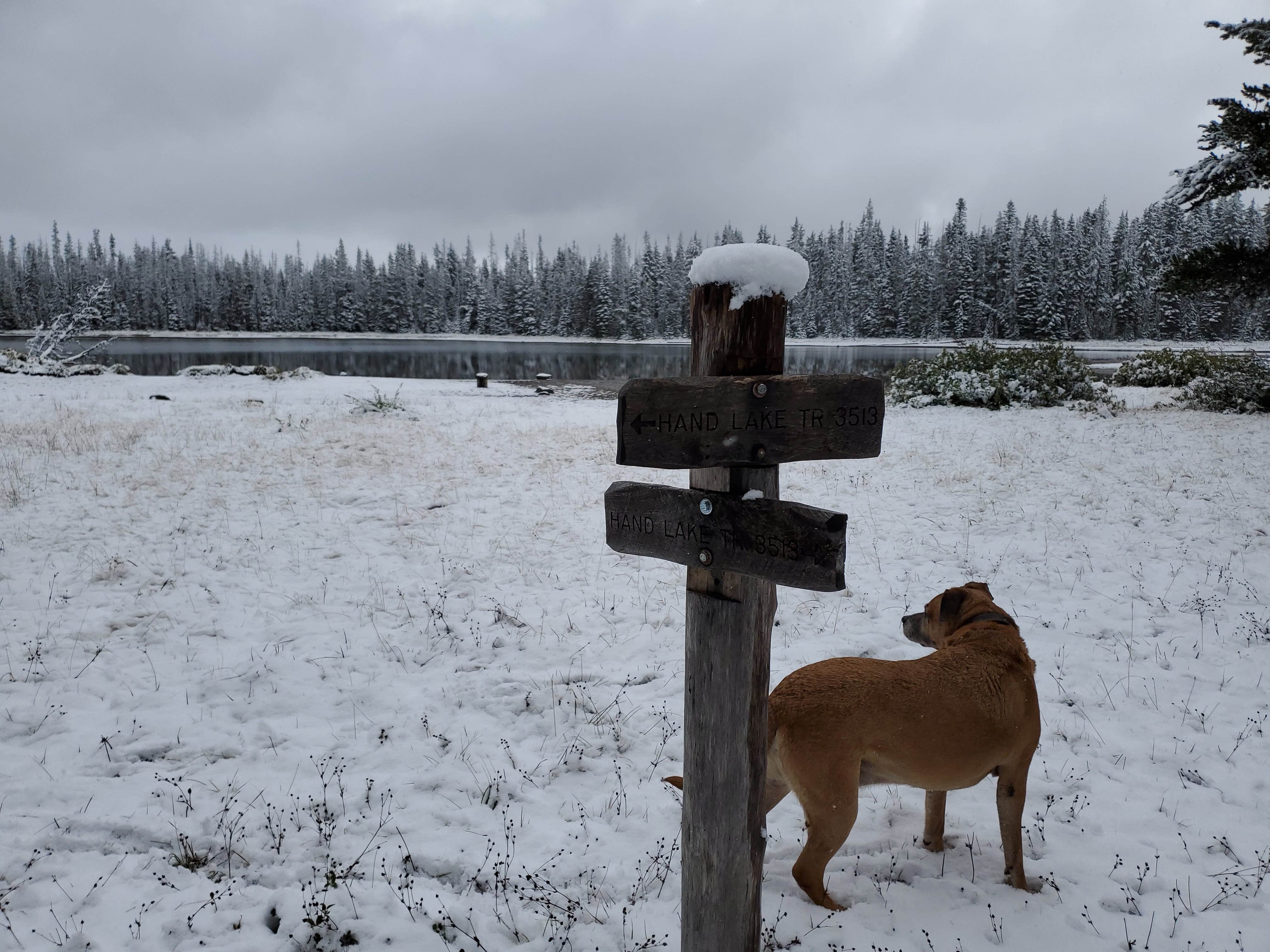 Scott Lake Campground | The Dyrt