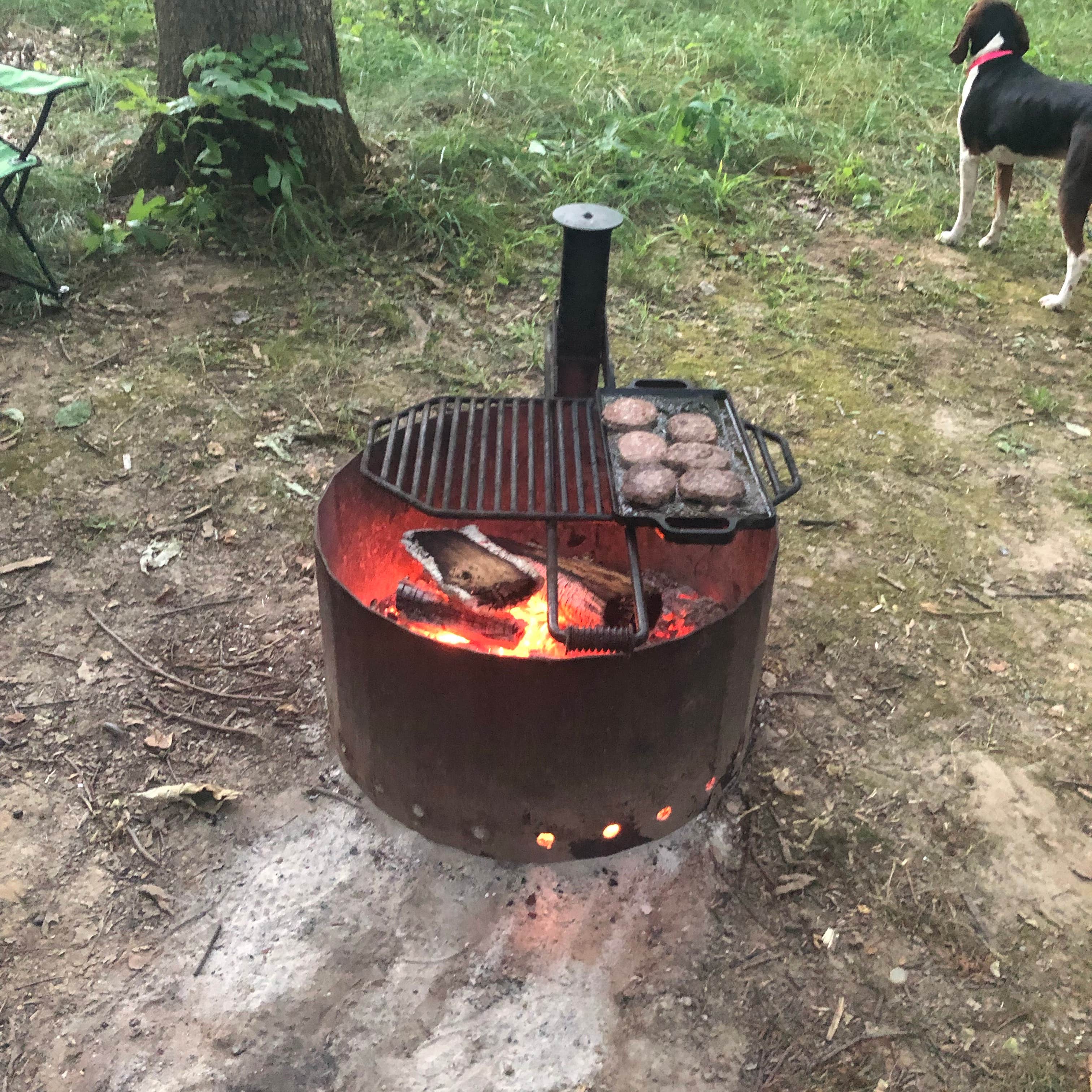 Kickapoo State Recreation Area Camping | The Dyrt