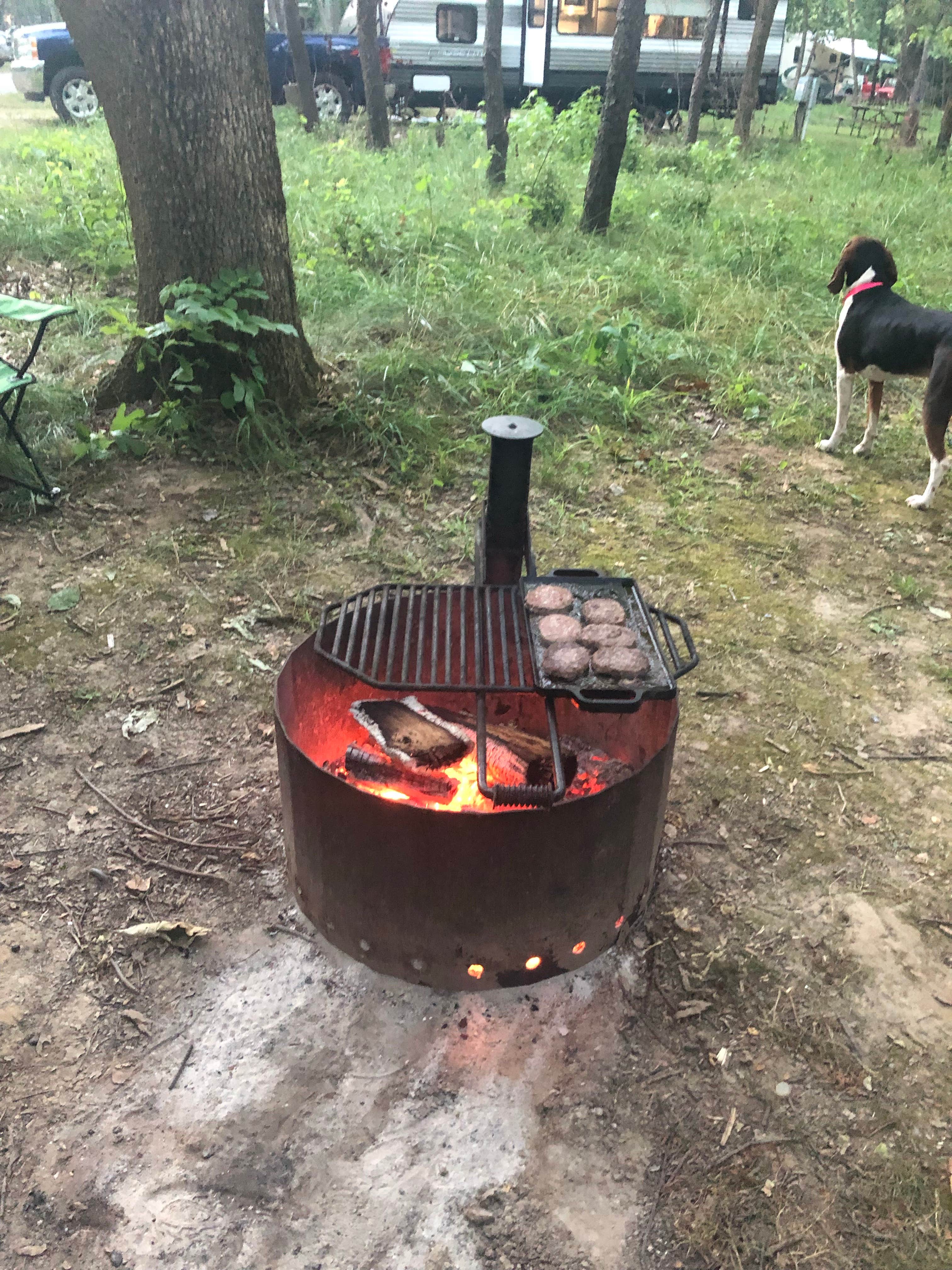 Kickapoo State Recreation Area Camping | Oakwood, Illinois