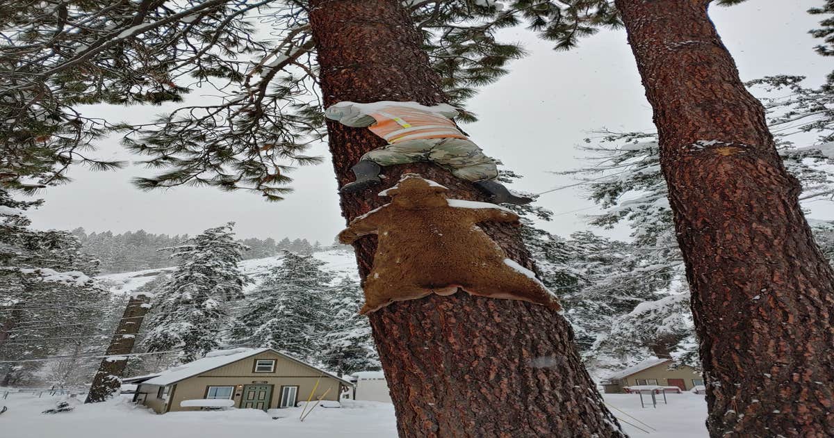 Squaw Rock RV Resort and Campground Camping | The Dyrt