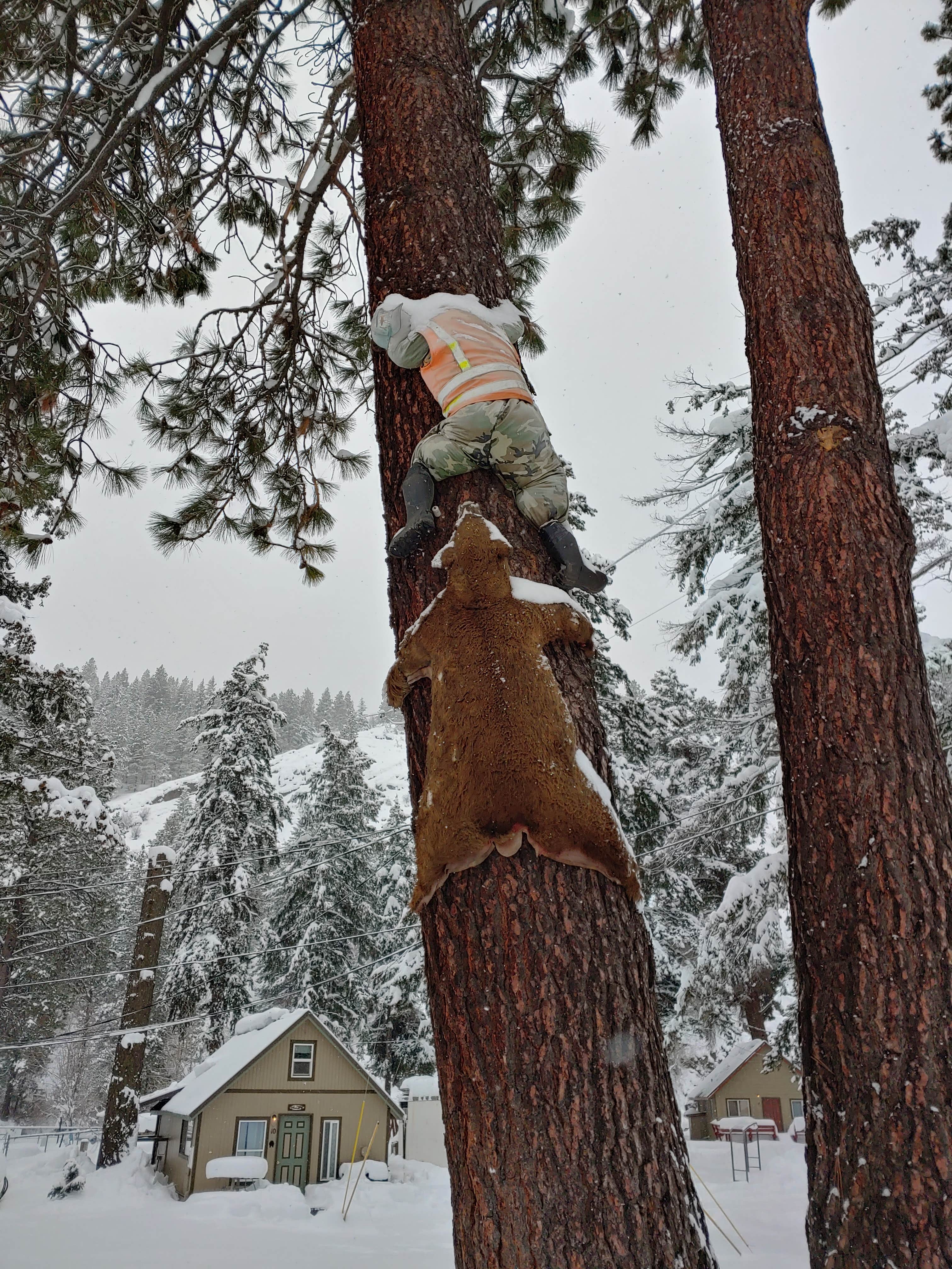 Squaw Rock RV Resort and Campground | Goose Prairie, Washington