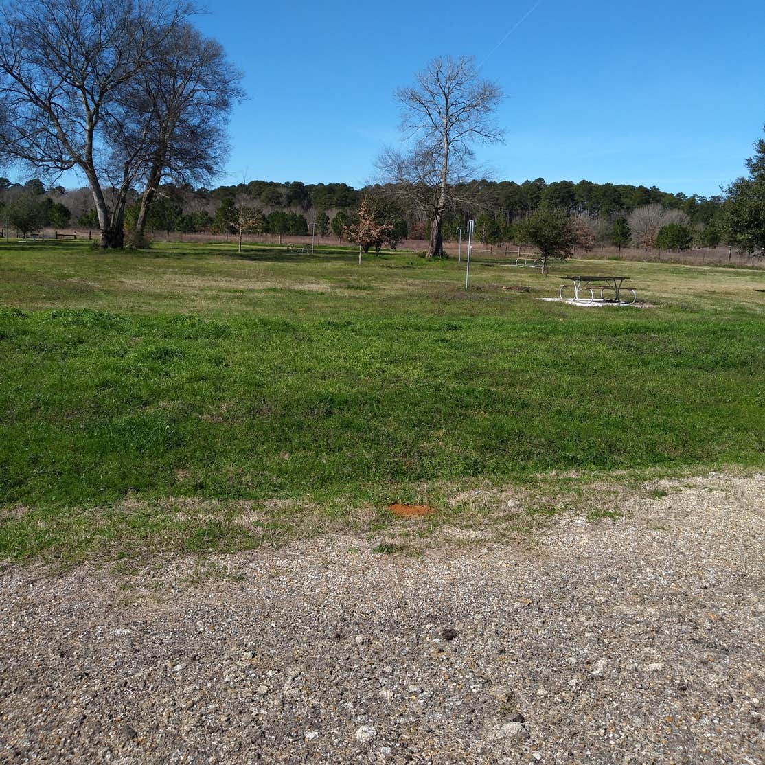 Alazan Bayou Camping | Nacogdoches, Texas