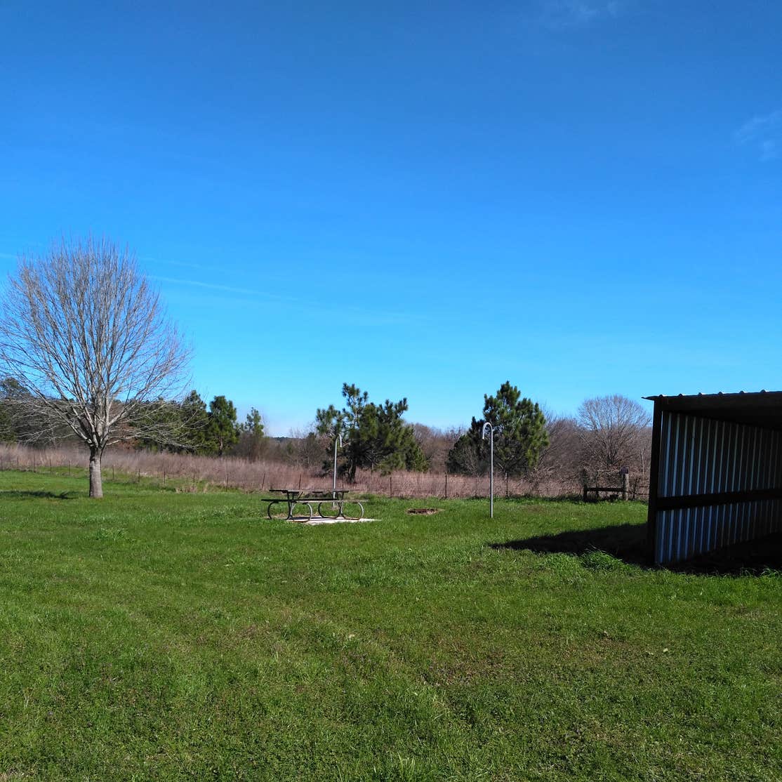 Alazan Bayou Camping | The Dyrt