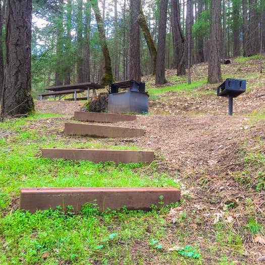 Mary Smith Campground Camping | The Dyrt