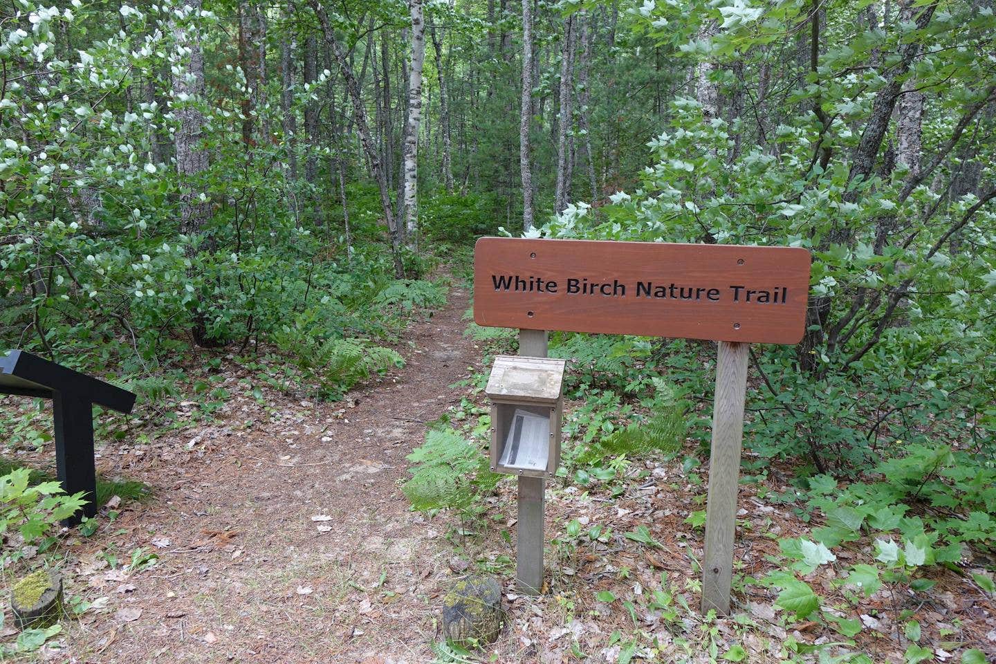 THE 10+ BEST Campgrounds near Pictured Rocks National Park