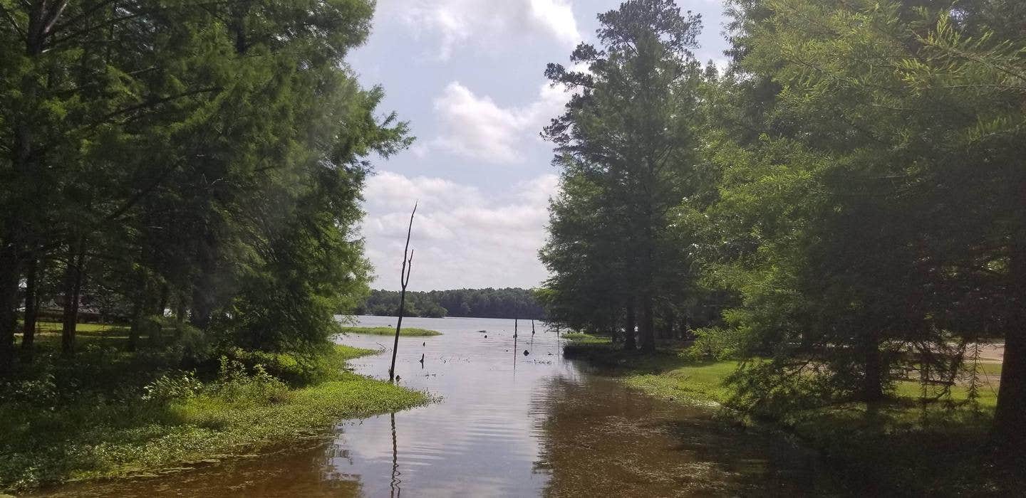 Blue Bluff Campground (aberdeen Ms) Camping | The Dyrt