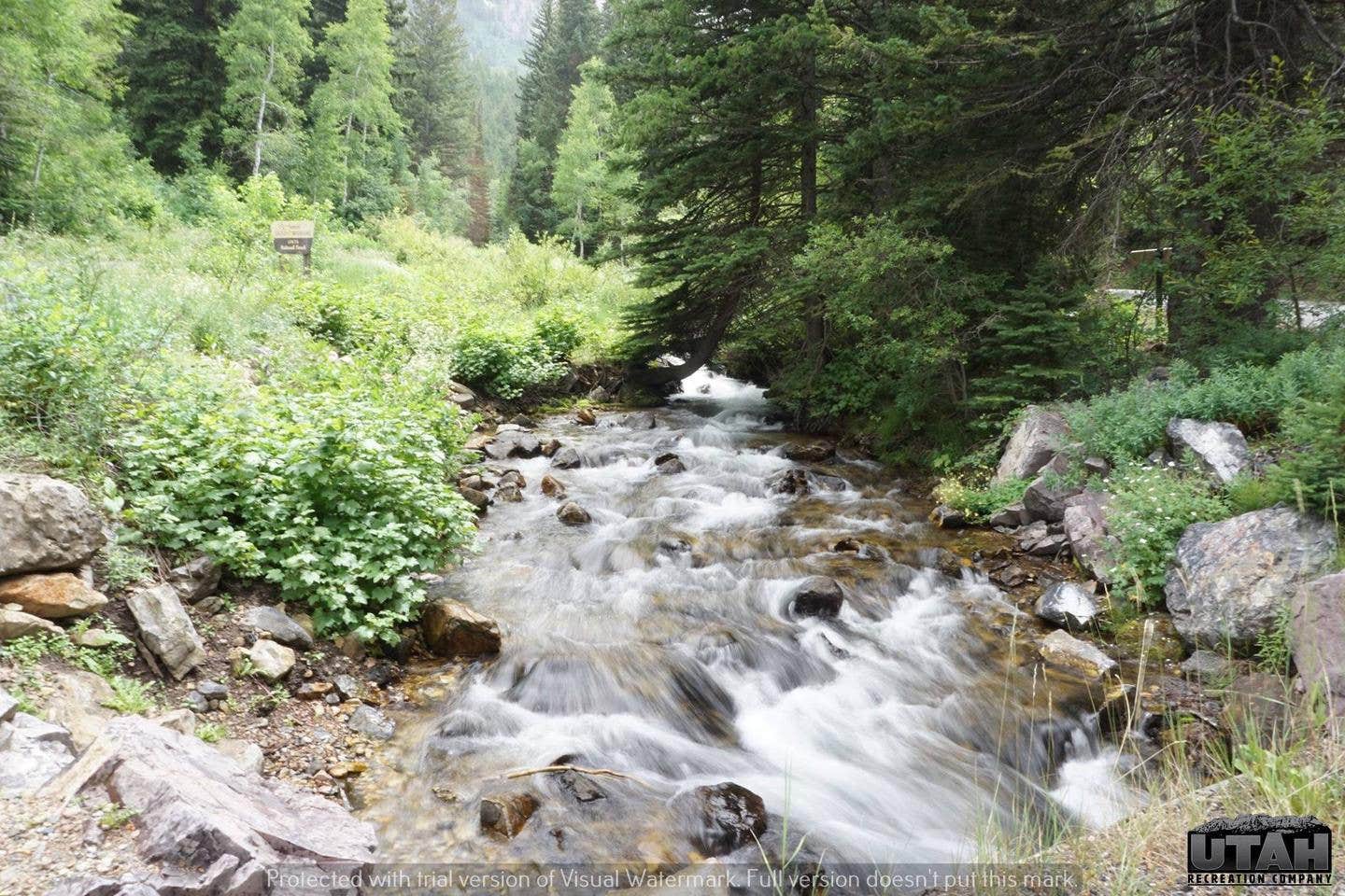 Timpooneke Camping | The Dyrt