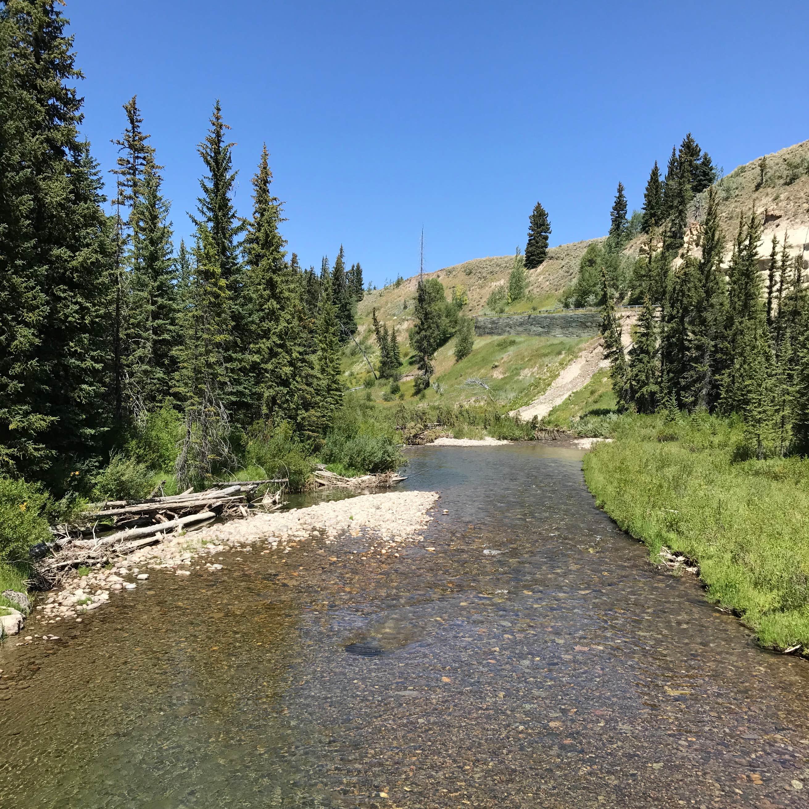 Bridger-Teton National Forest Camping | The Dyrt