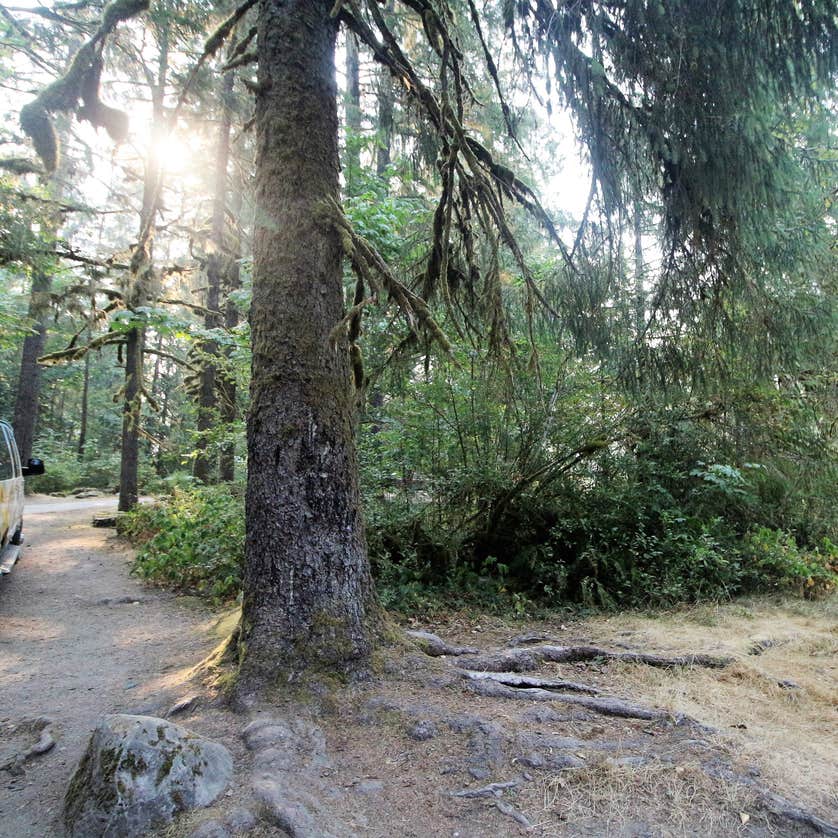 Verlot Campground Camping | The Dyrt