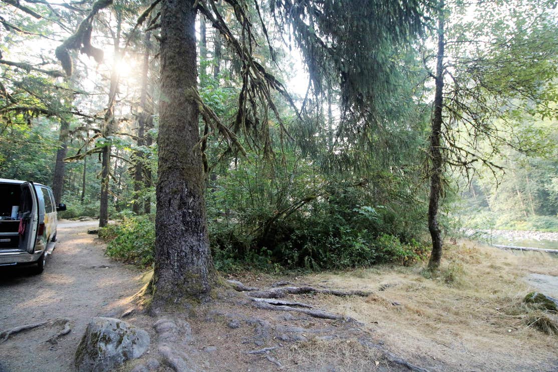 Verlot Campground Camping | The Dyrt