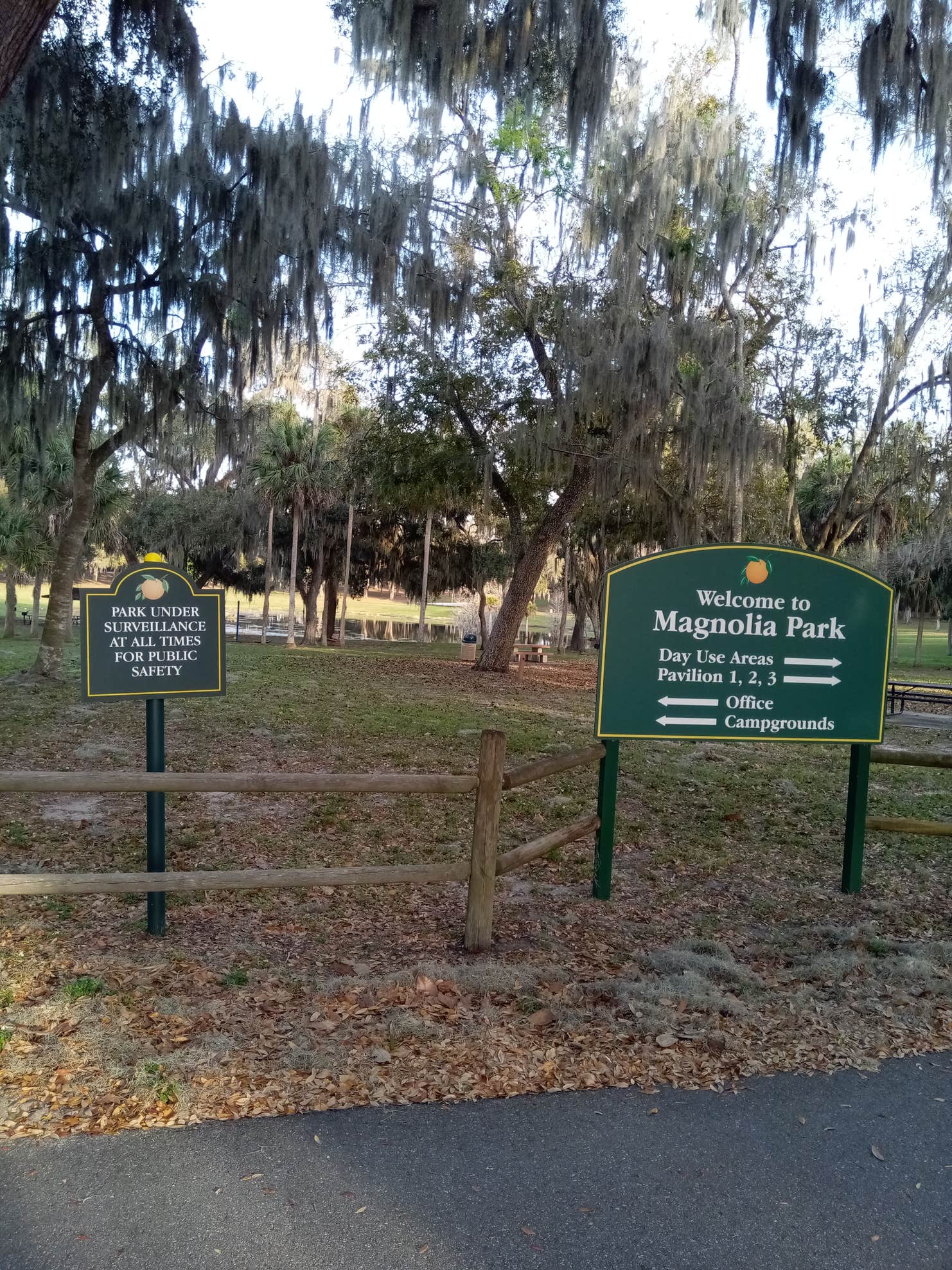 Magnolia Park Campground Camping | The Dyrt
