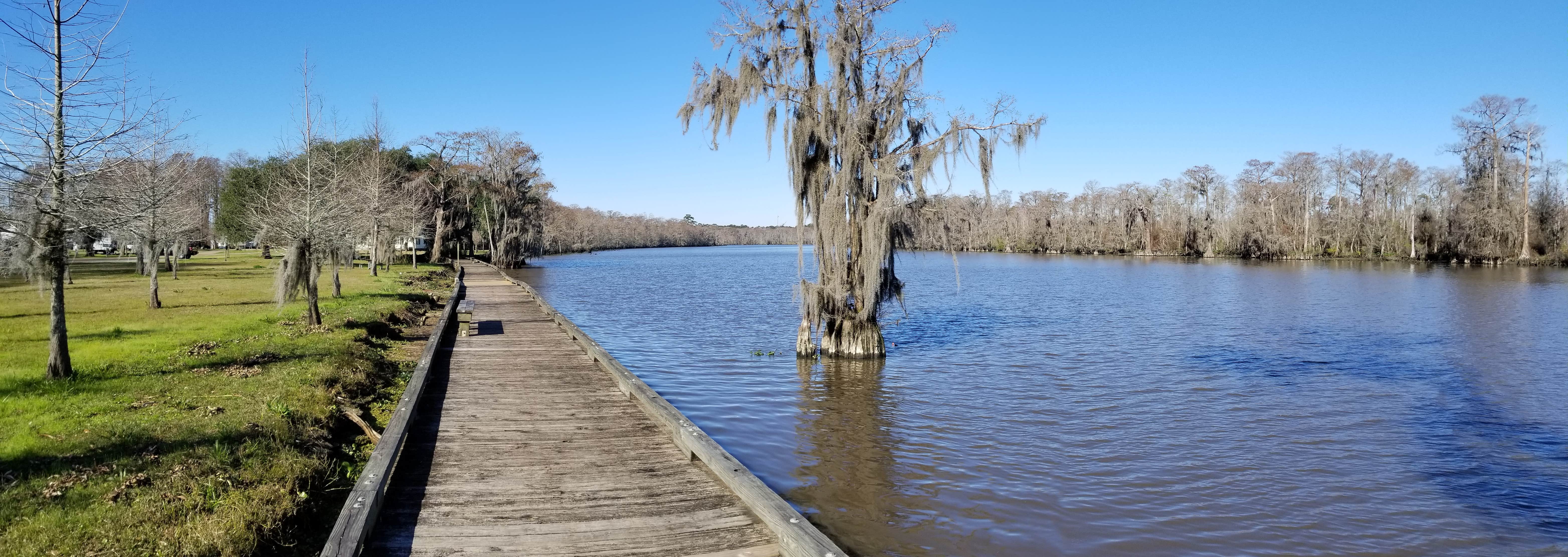 Fairview-Riverside State Park Camping | Madisonville, LA