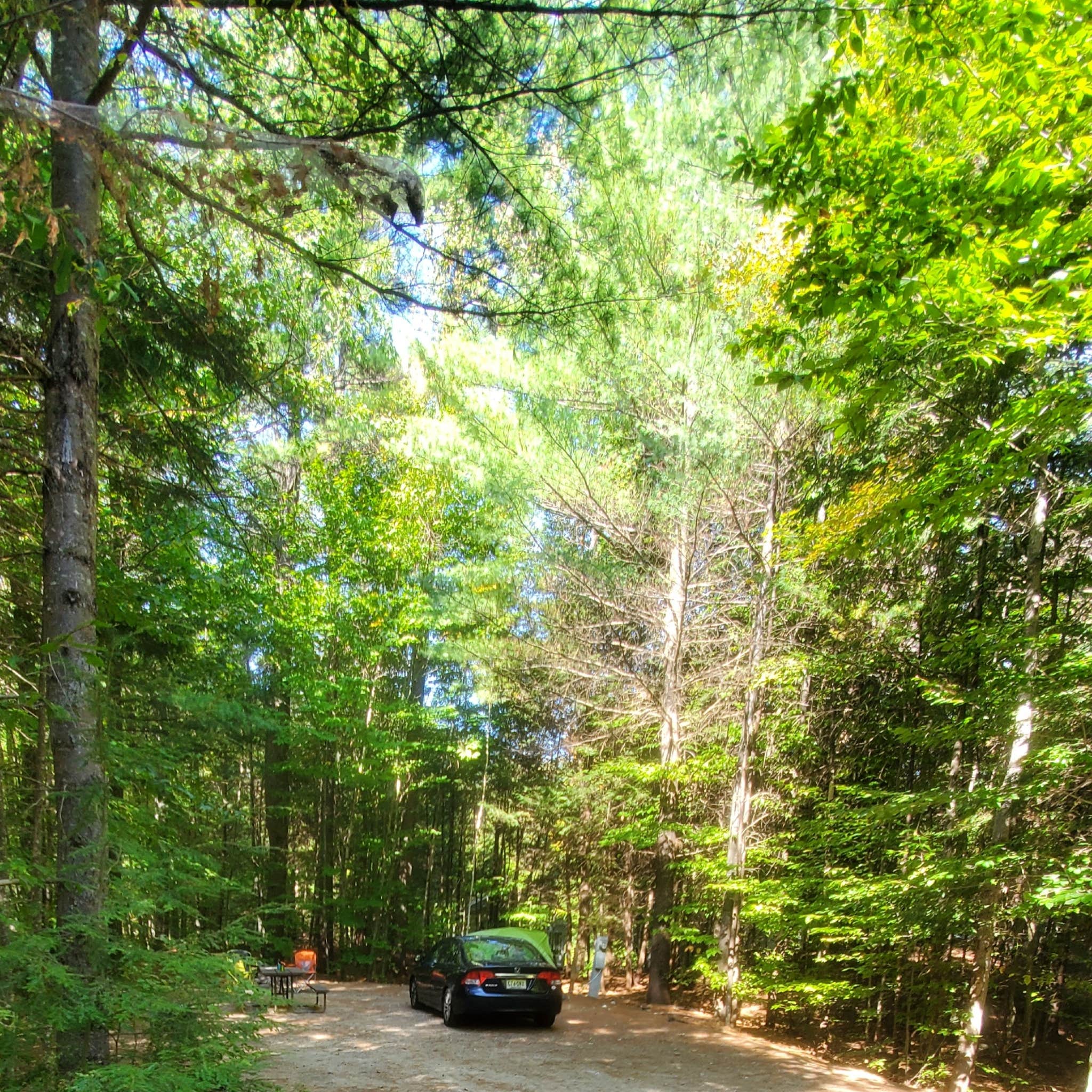 Meredith Woods Four Season Camping | New Hampton, New Hampshire