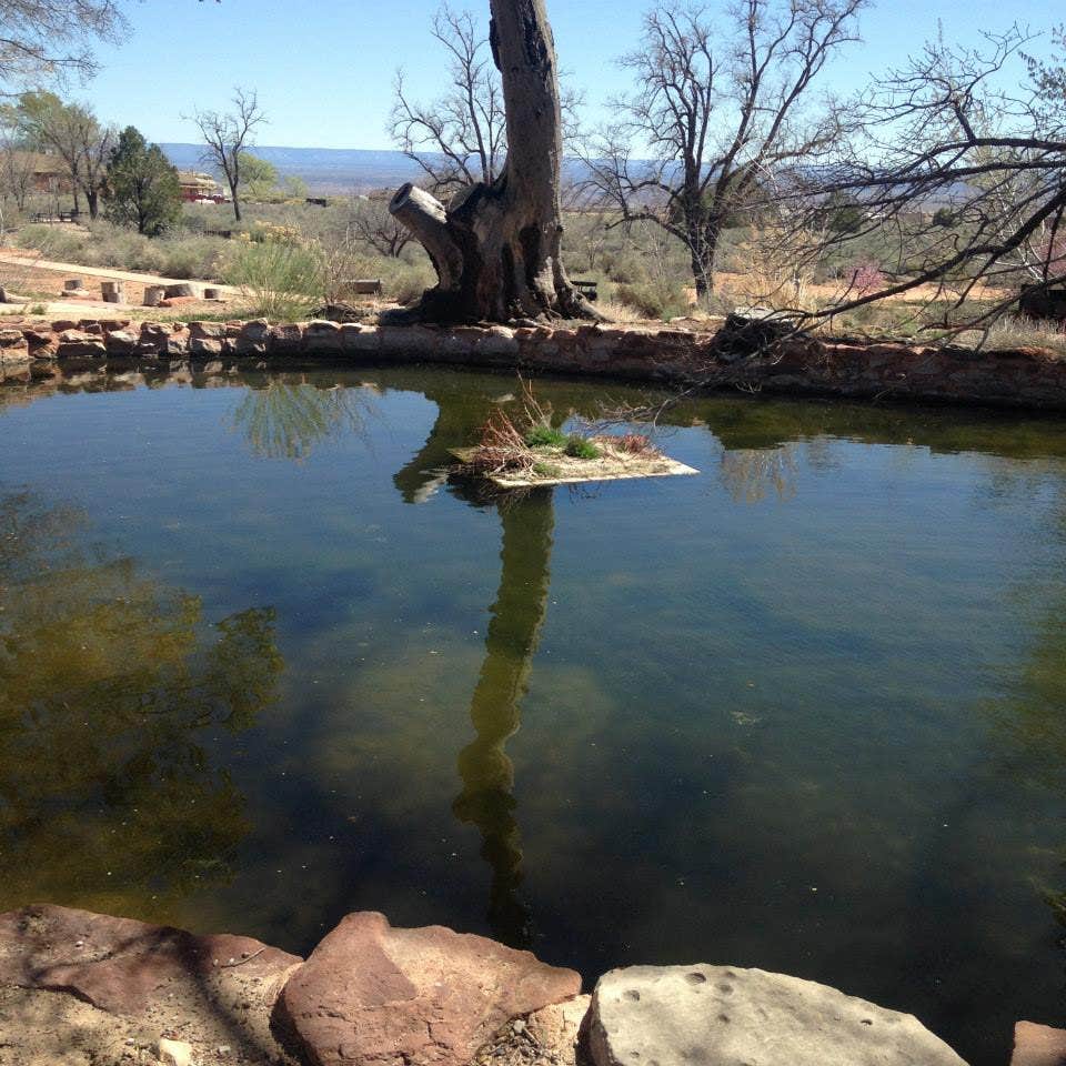 Toroweap Road BLM Camping | Fredonia, AZ