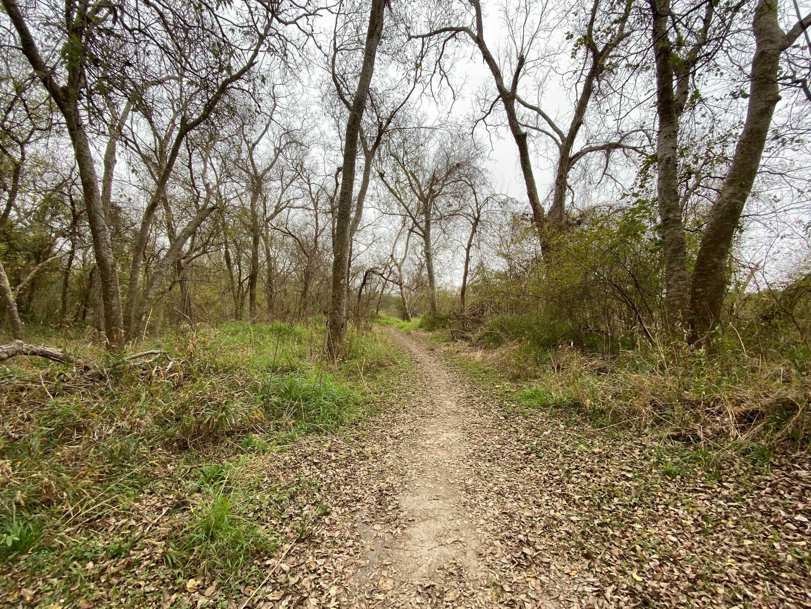 Lake Corpus Christi State Park Camping | The Dyrt