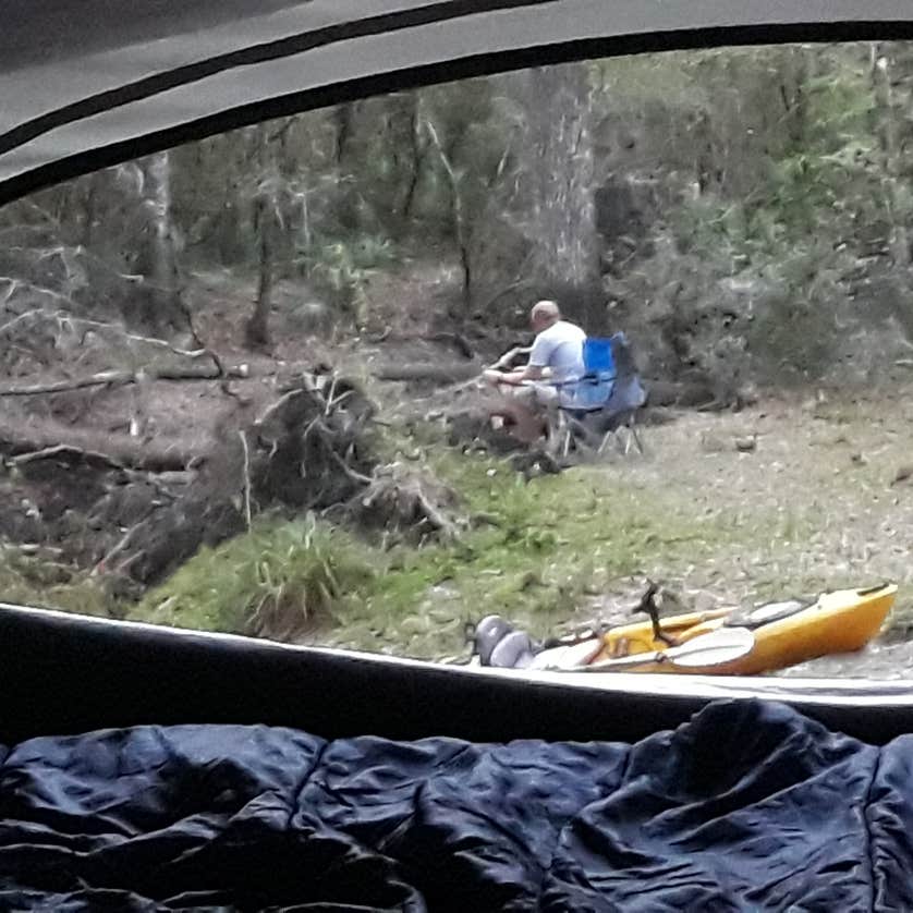 River Junction - Withlacoochee State Forest Camping | The Dyrt