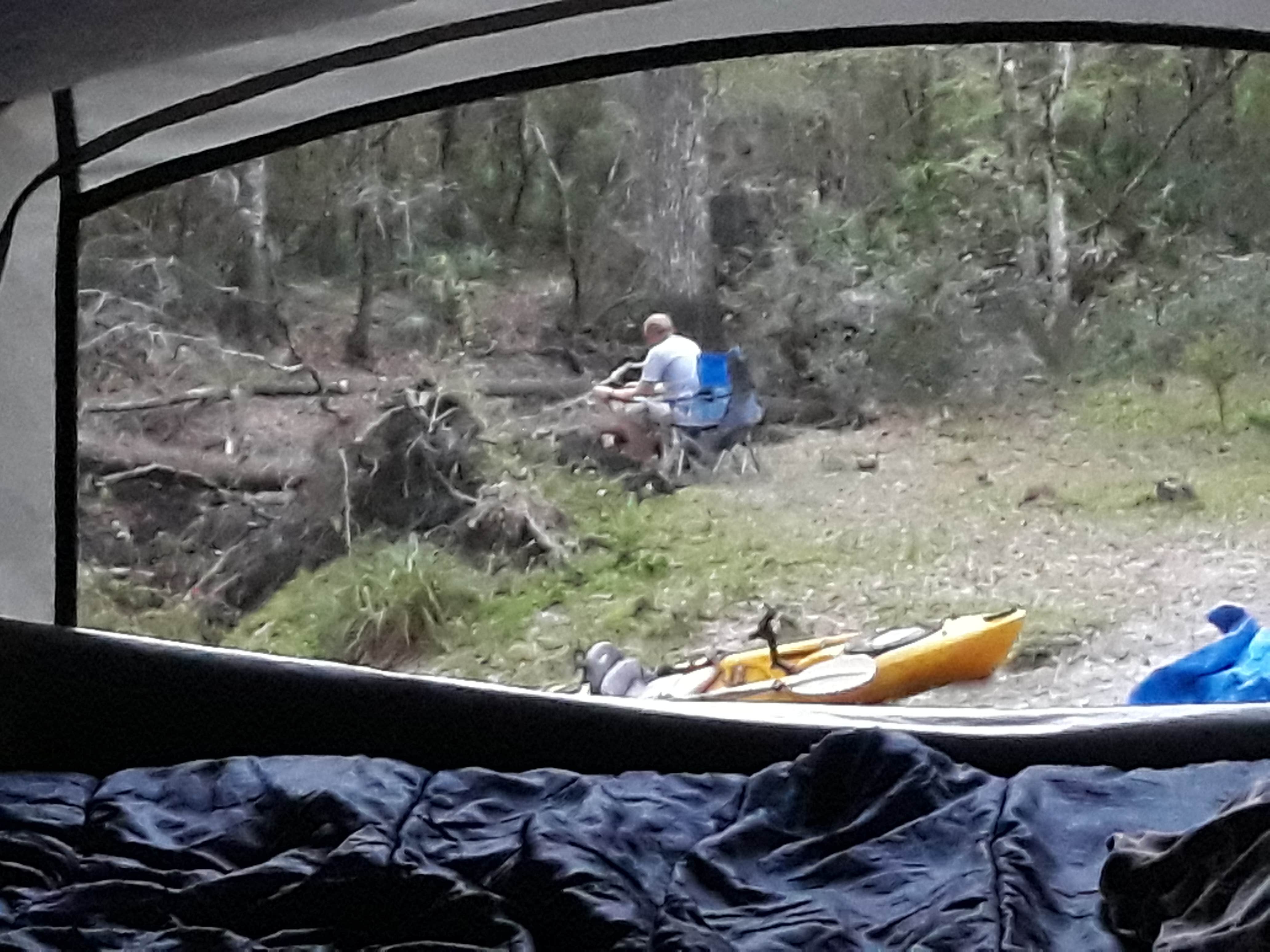 River Junction - Withlacoochee State Forest Camping | The Dyrt
