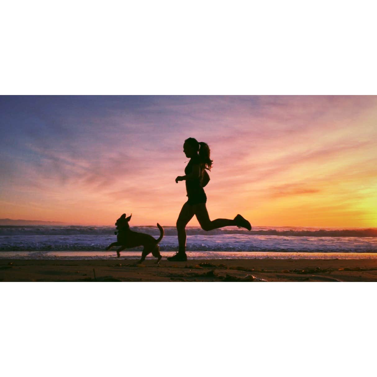 Santa Barbara Sunrise RV Park | Santa Barbara, CA