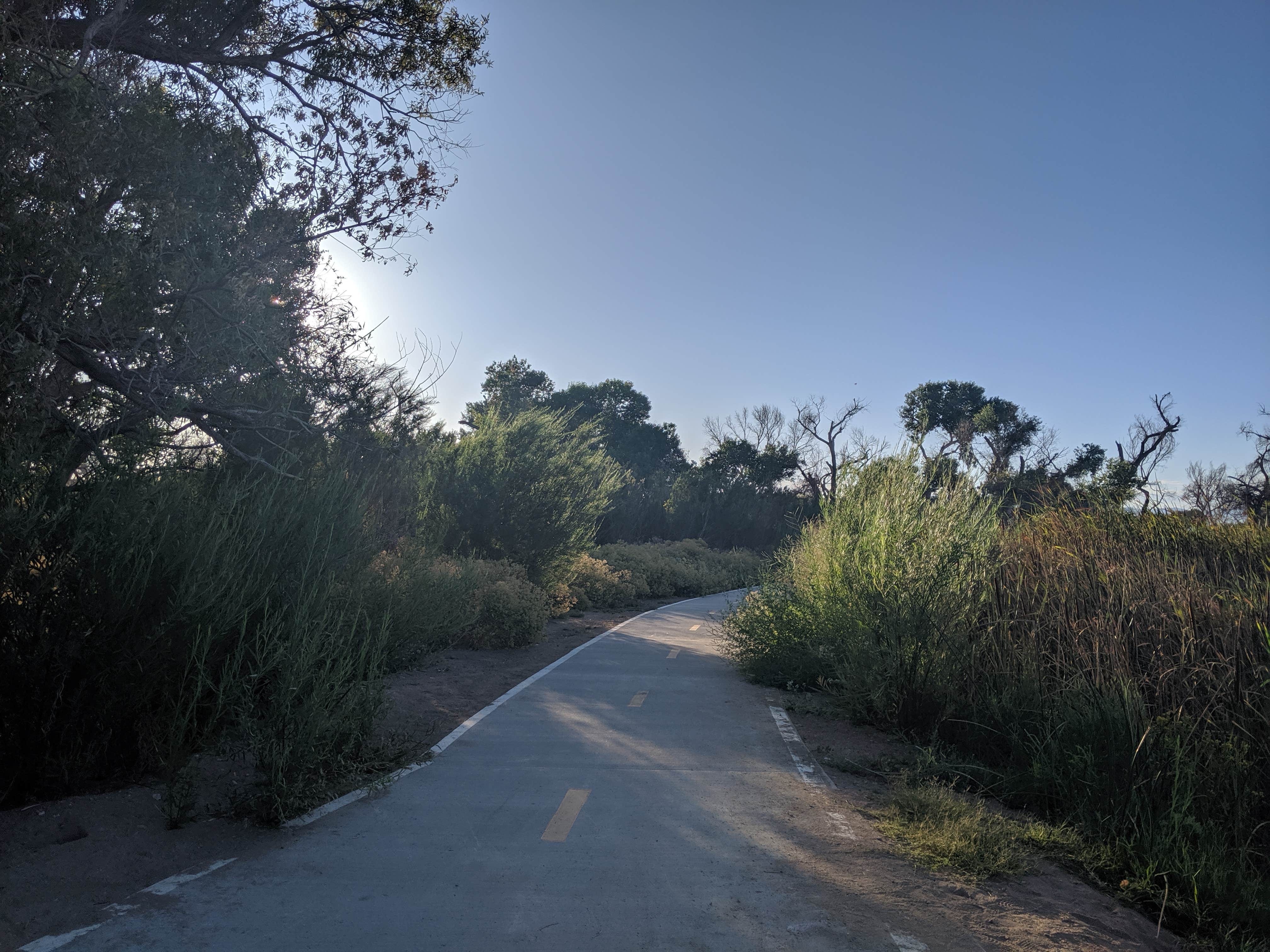 Mojave Narrows Regional Park Camping | Victorville, CA
