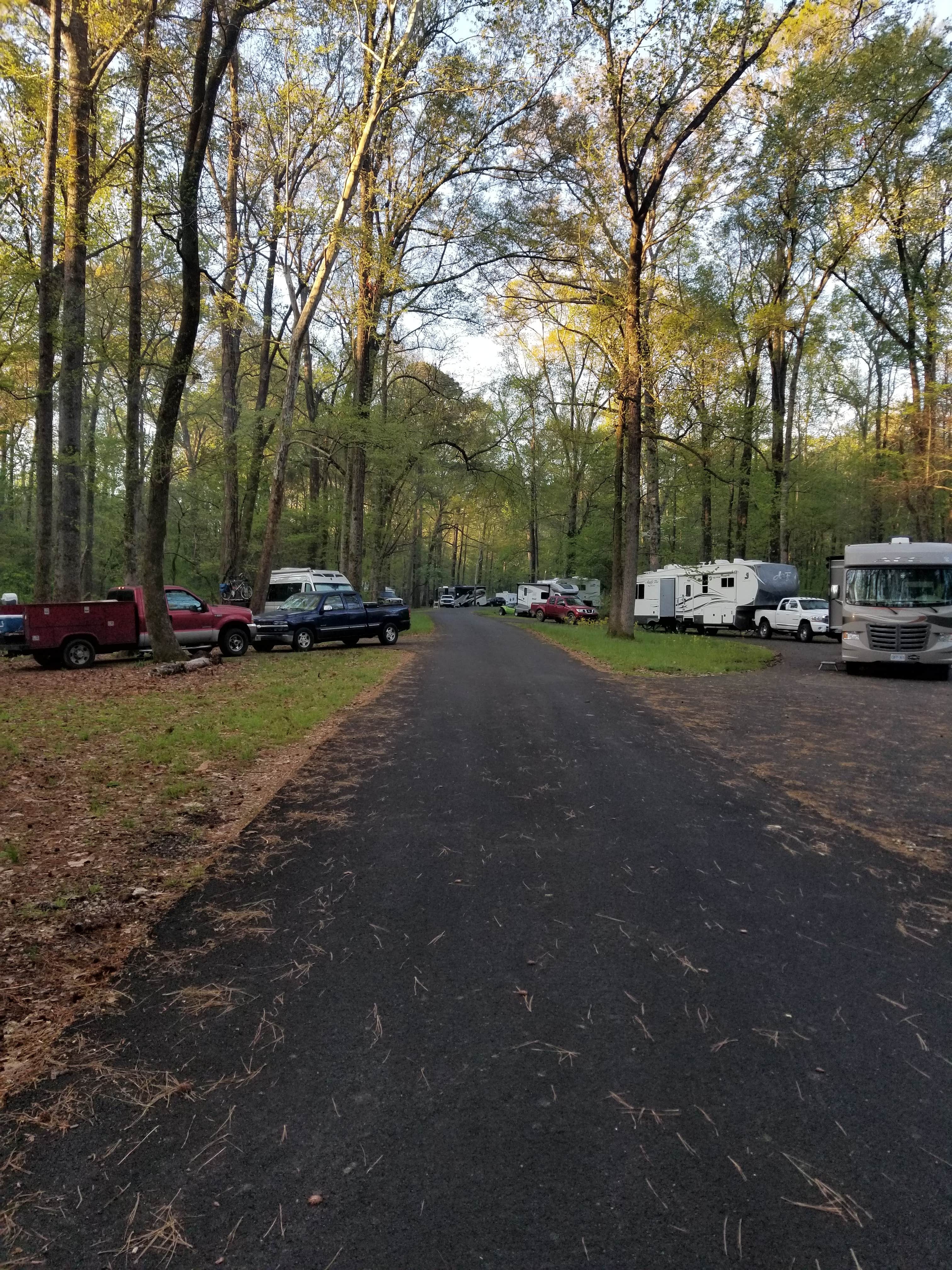 Rocky Springs Campground, Milepost 54.8 — Natchez Trace Parkway ...