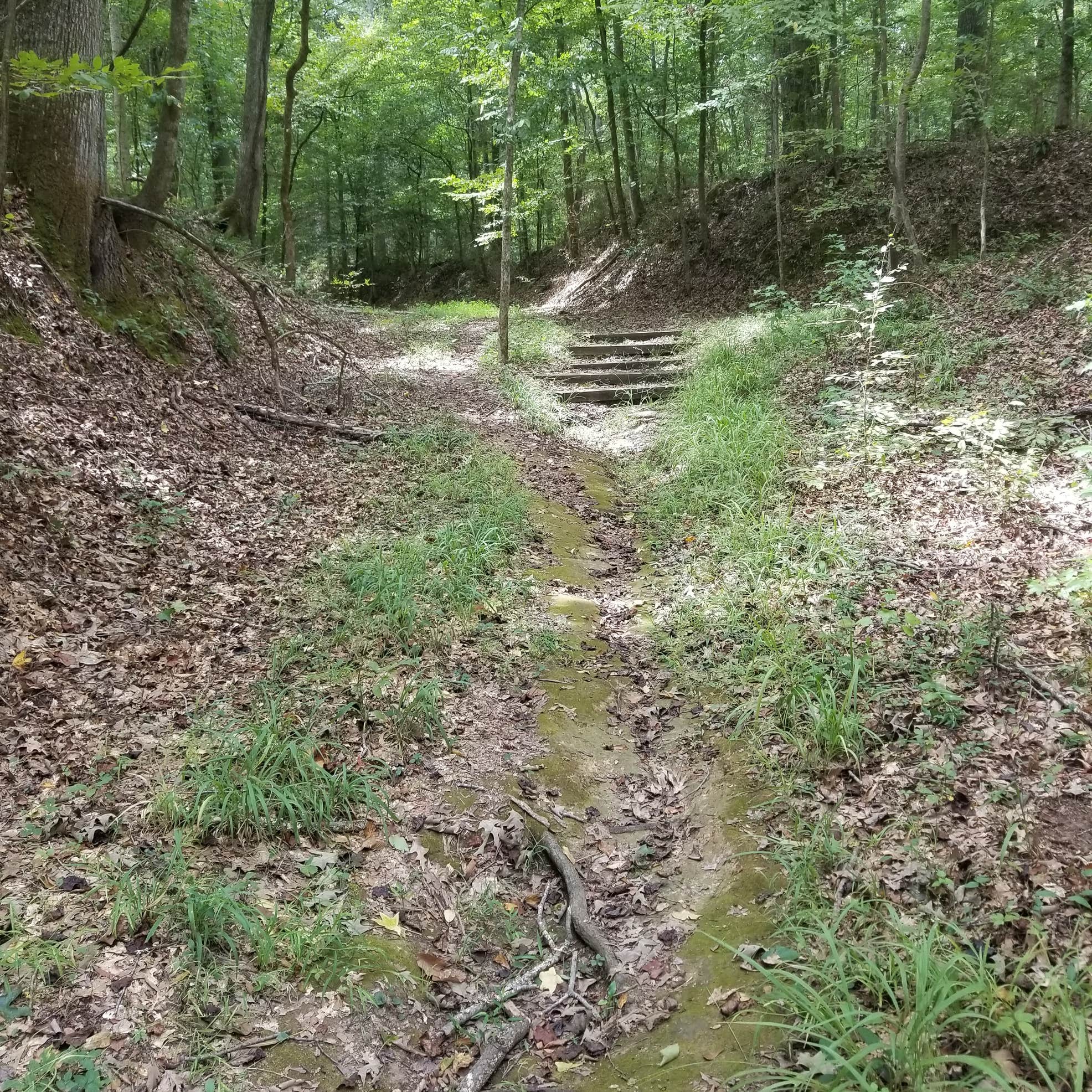 Rocky Springs Campground, Milepost 54.8 Camping | The Dyrt