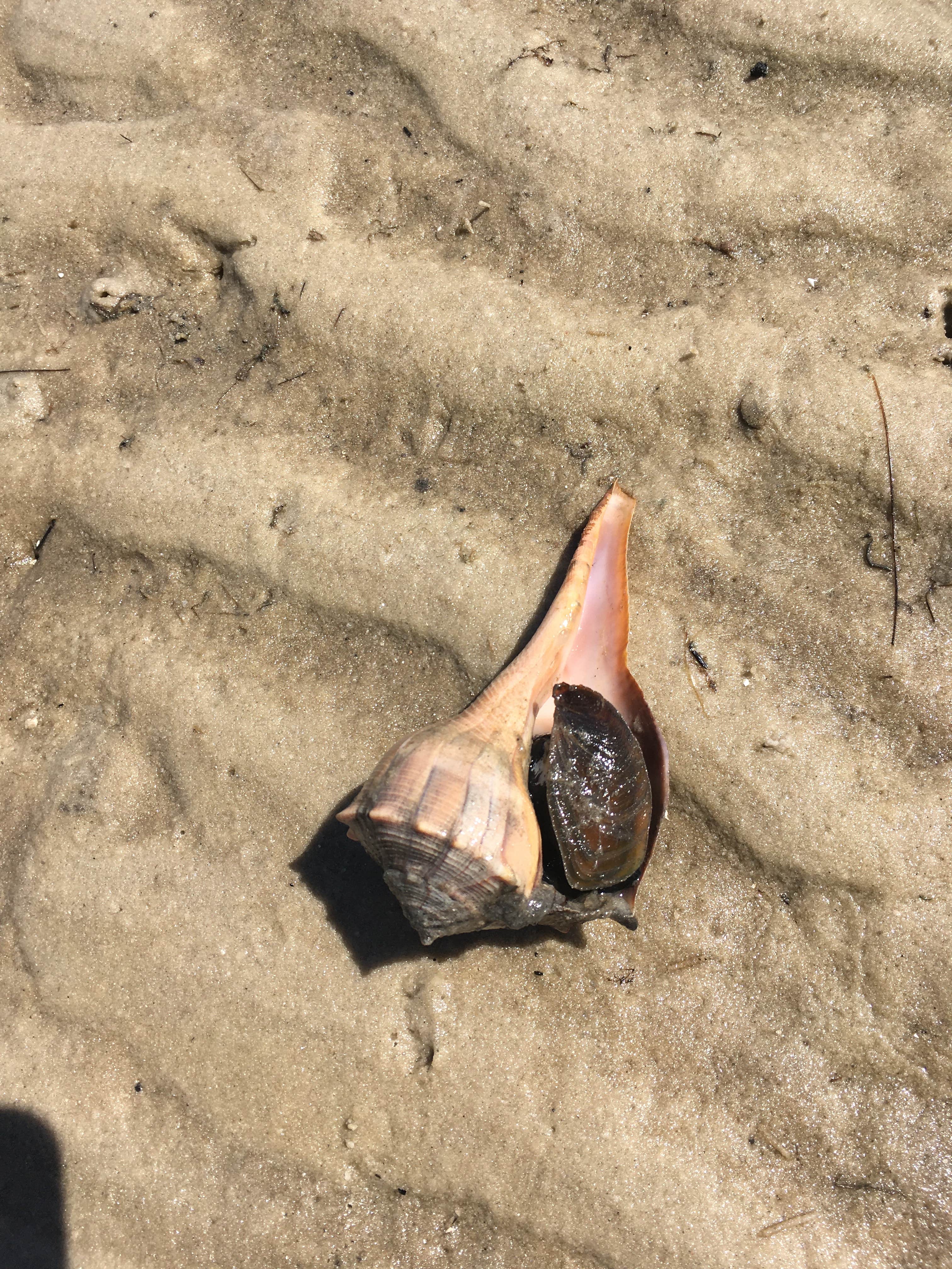 Ho-Hum RV Park | Carrabelle, Florida