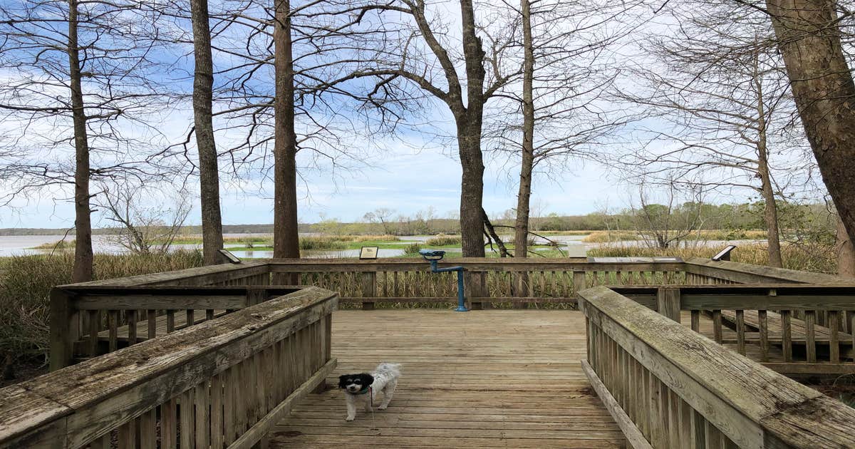 Lake Fausse Pointe State Park Campground | New Iberia, Louisiana