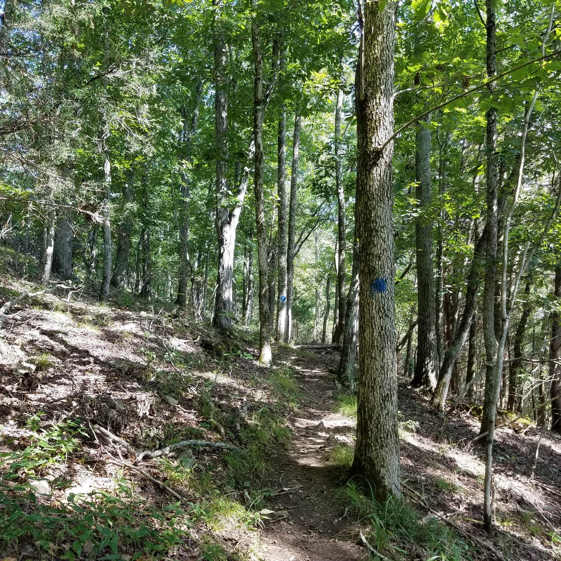 Defeated Creek Campground Camping | The Dyrt