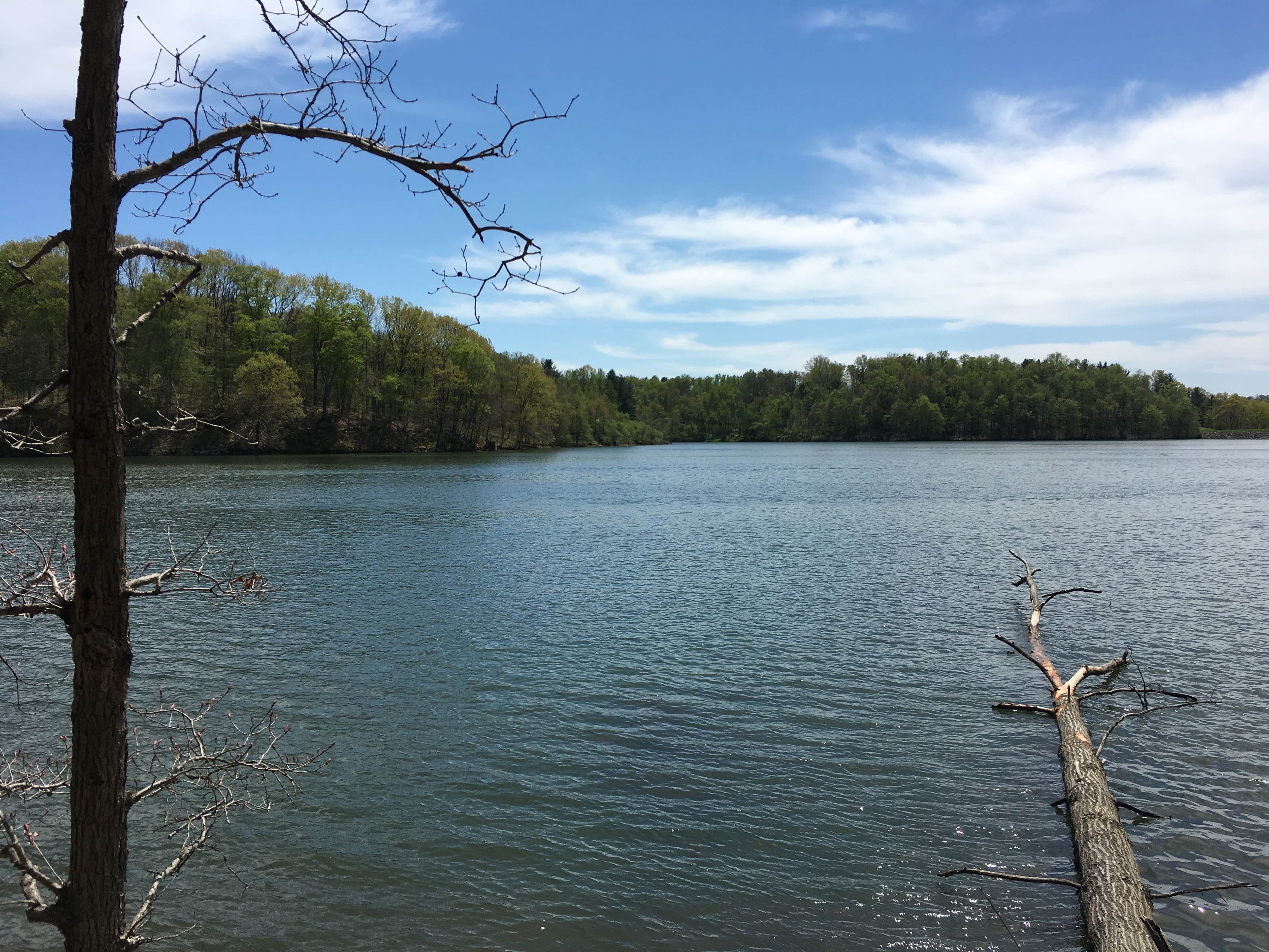Wolf Run State Park Camping | The Dyrt