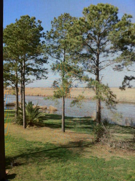 Rio RV Park at Turtle Bayou Camping | The Dyrt