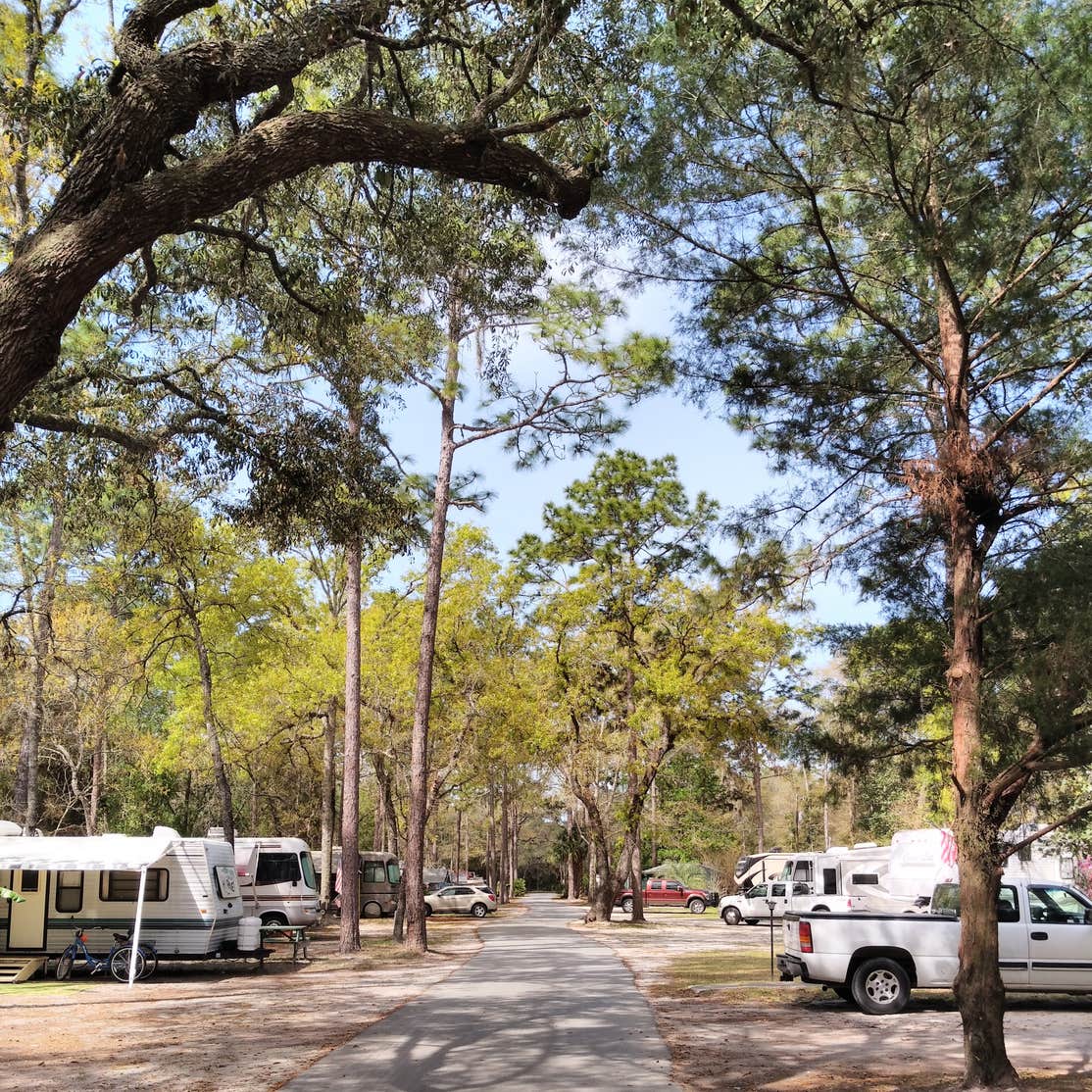 Greenfields RV Campground | Cedar Key, Florida