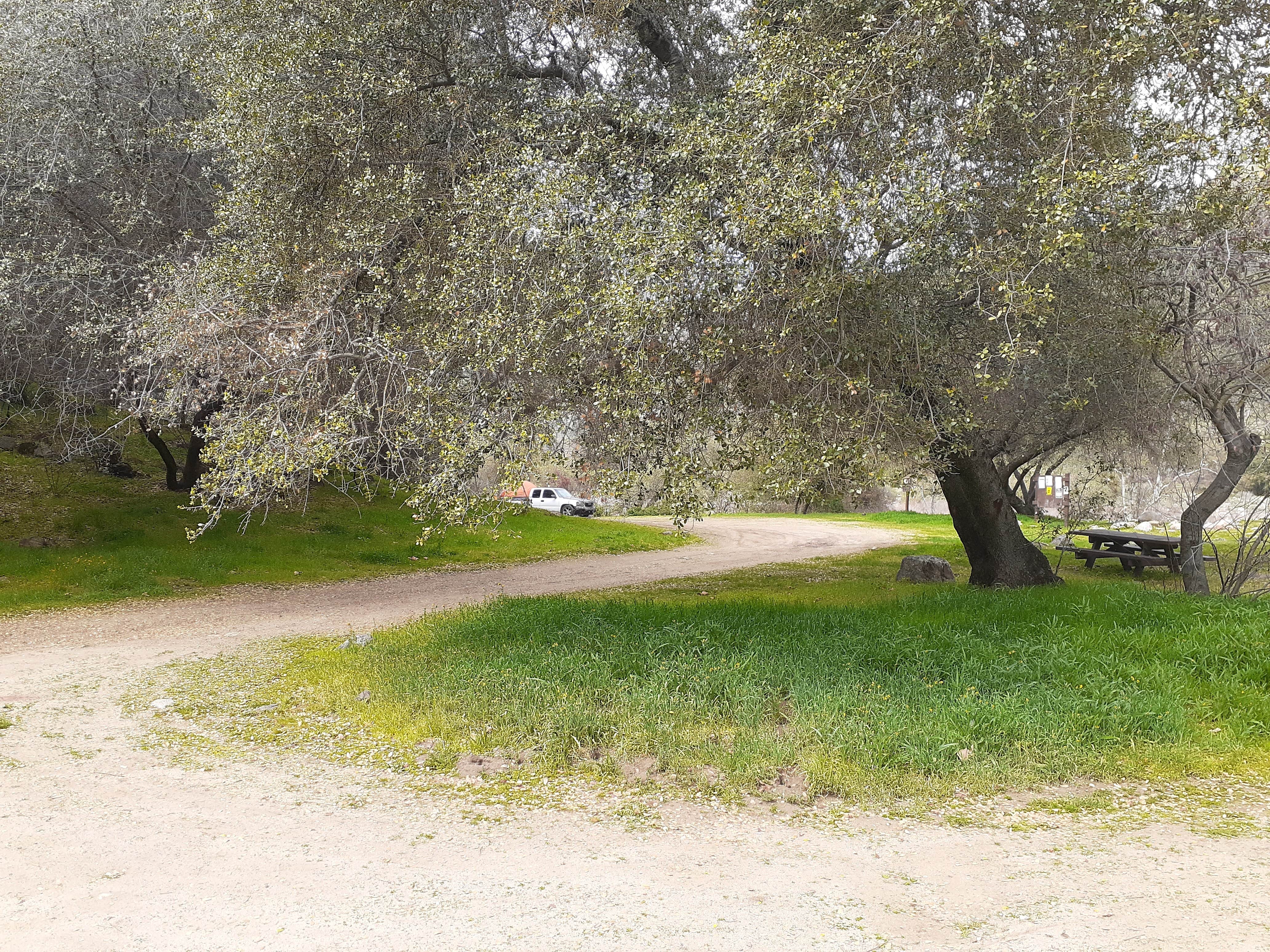 Wishon Village RV Resort Camping | The Dyrt