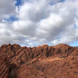 Logandale Trails Camping | The Dyrt