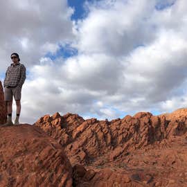 Logandale Trails Camping | The Dyrt