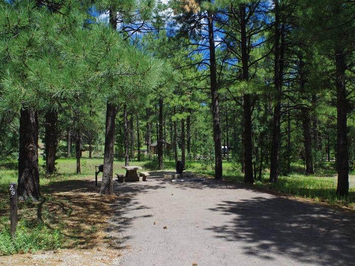 THE 10+ BEST Campgrounds near Prescott, AZ | Updated 2025