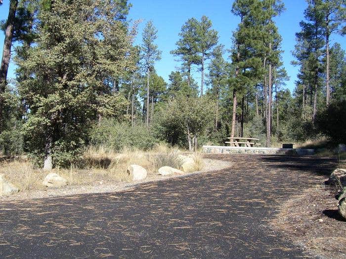 Watson Lake Park Camping | The Dyrt