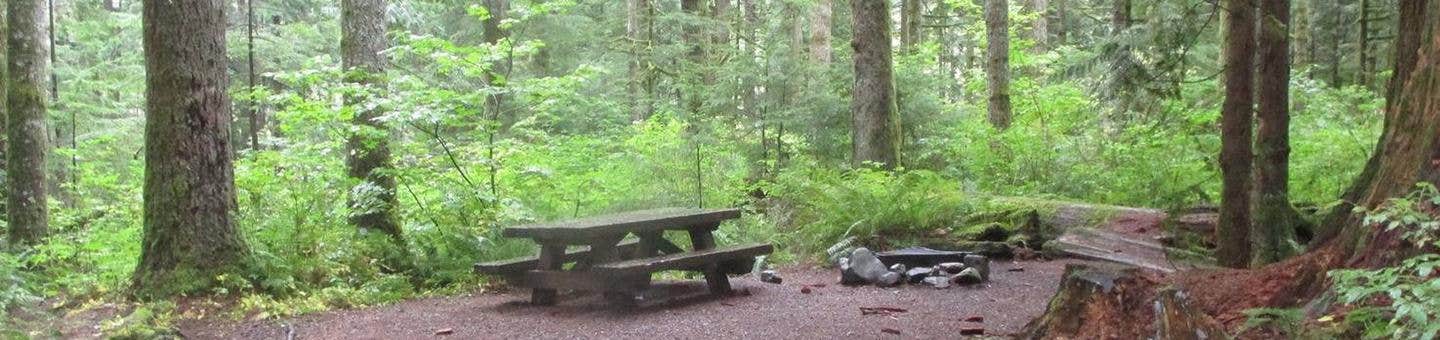 THE 10+ BEST Campgrounds near SEATTLE, WA