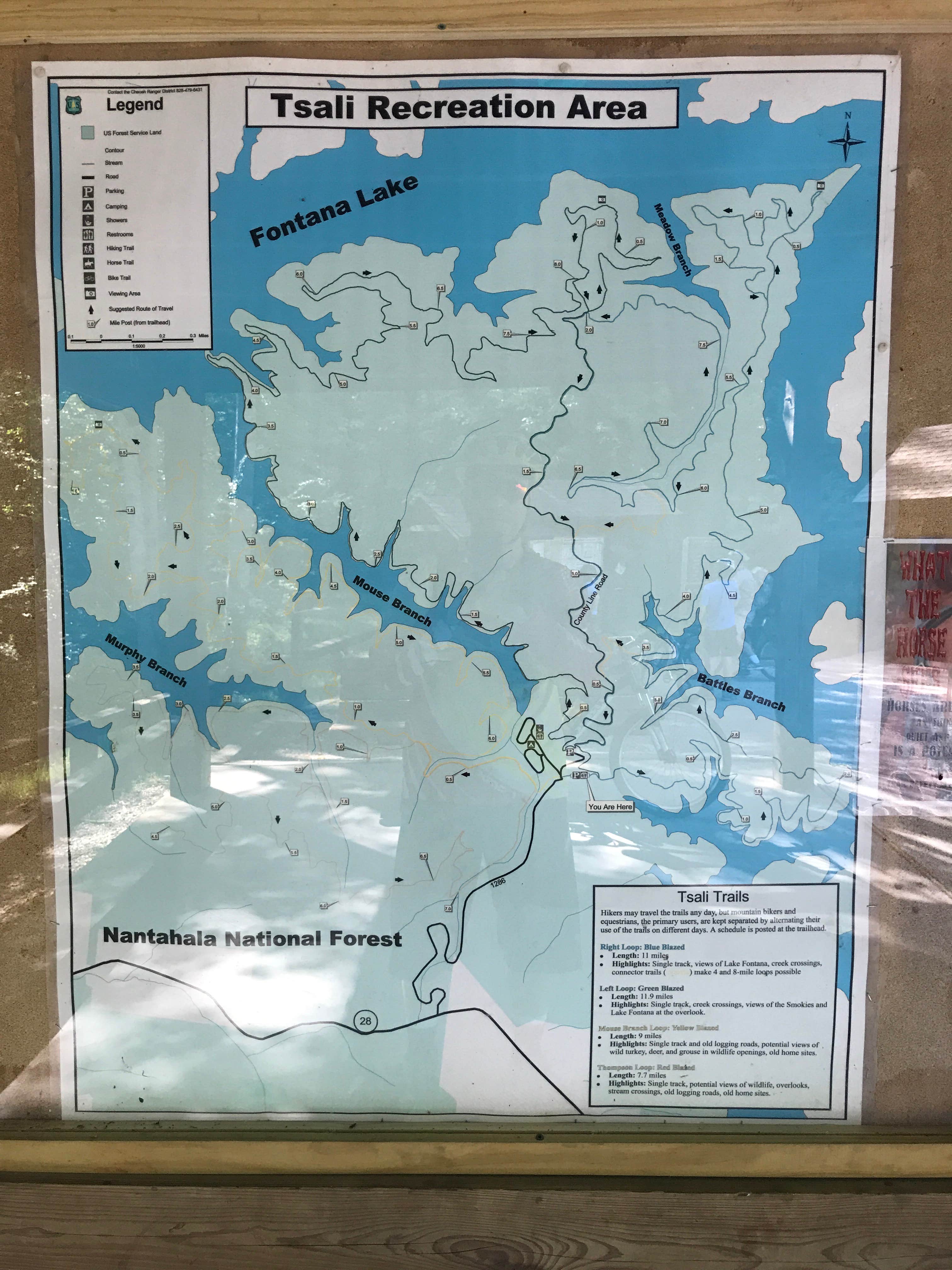 Tsali Campground Camping | The Dyrt