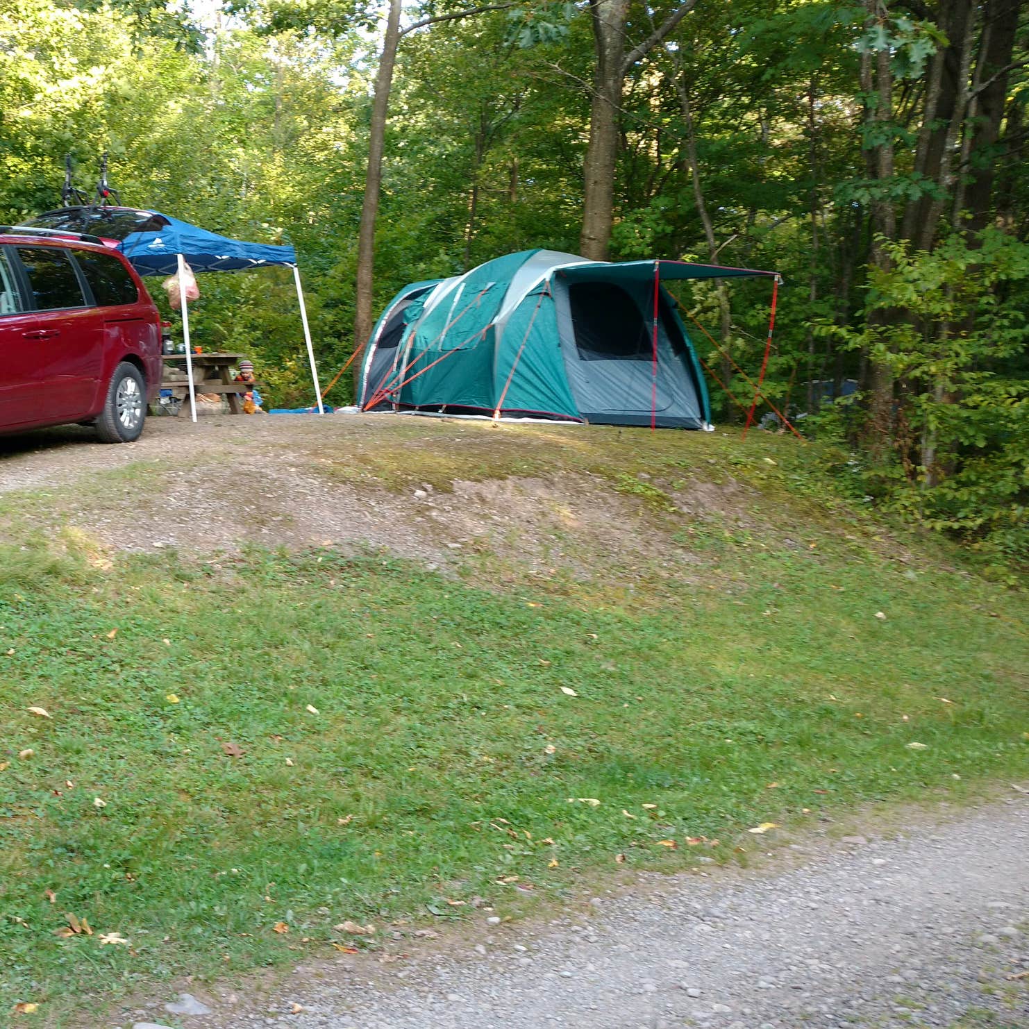 Bear Spring Mountain — DEC Camping | Downsville, New York