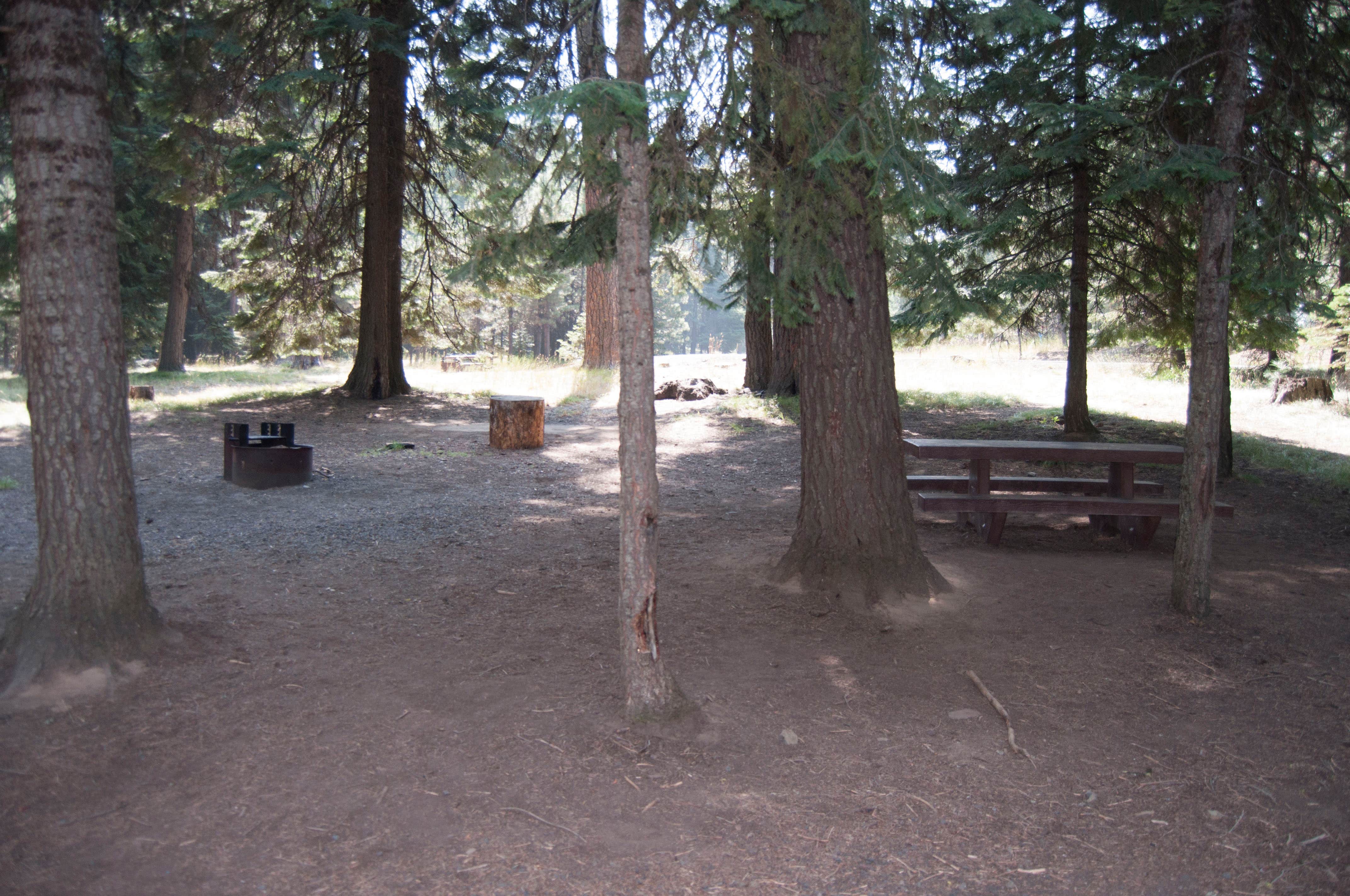 Walton Lake Camping | Mitchell, Oregon