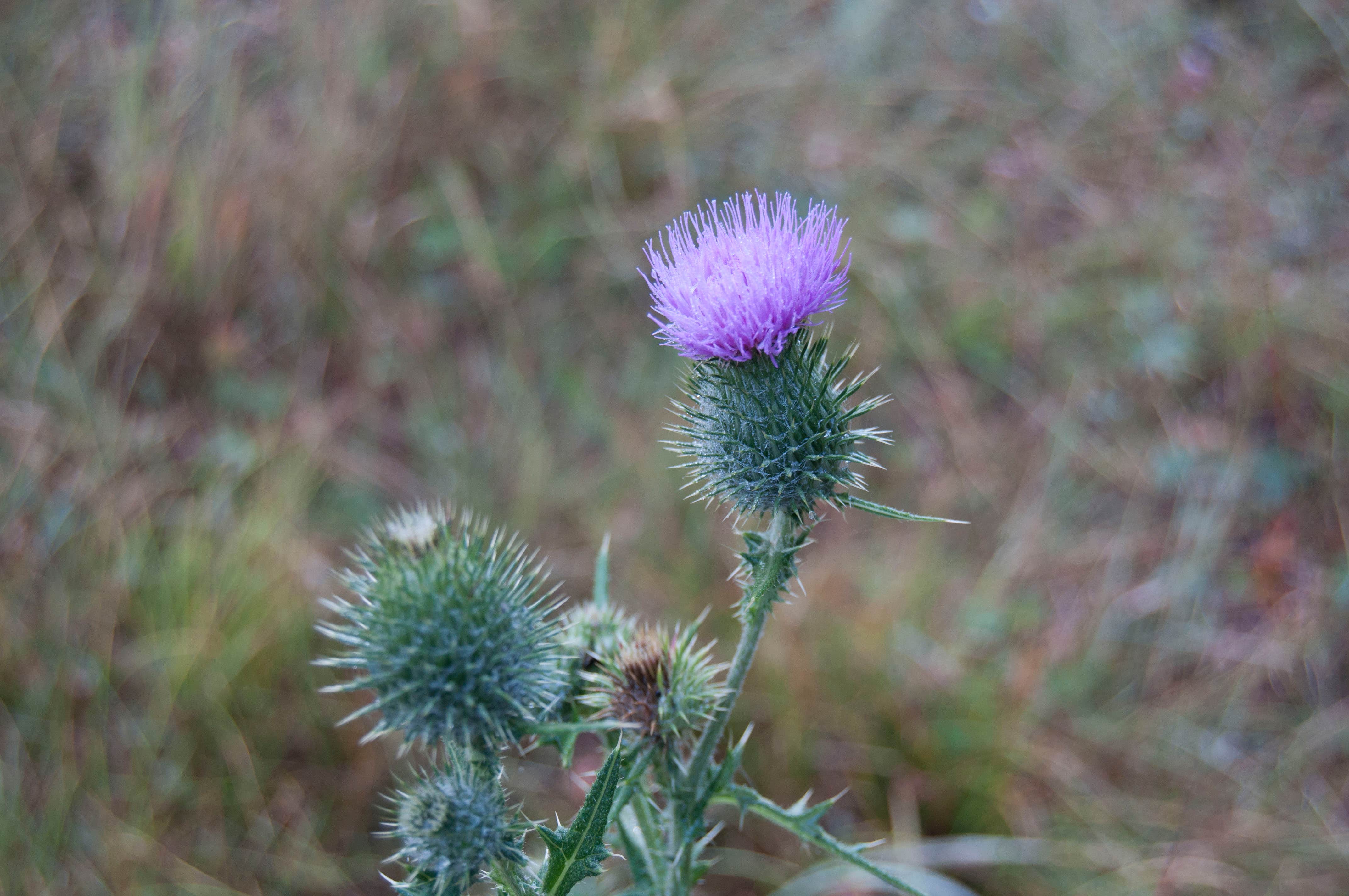 Walton Lake Camping | Prineville, OR