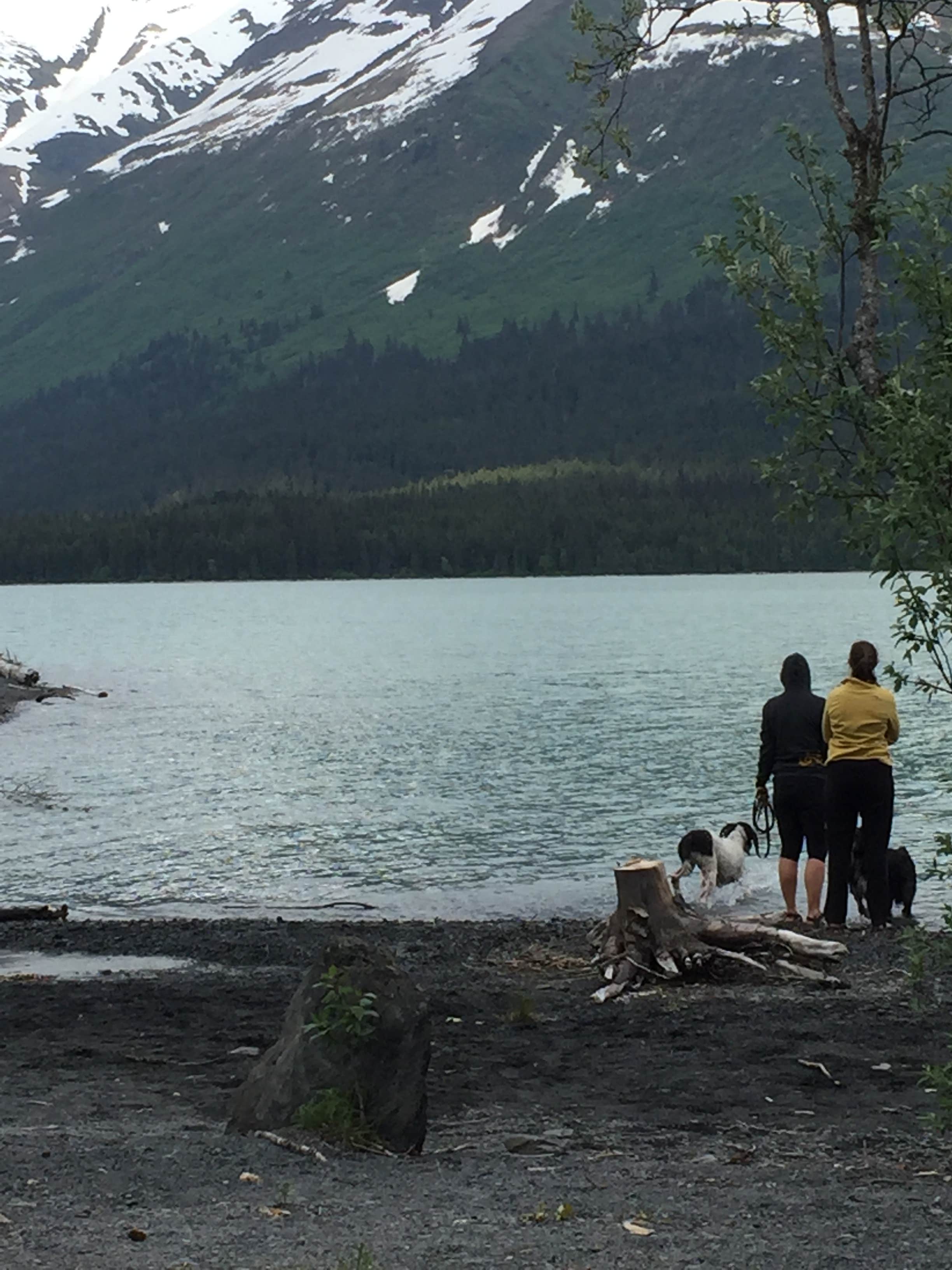 Primrose Trailhead Camping | Seward, AK
