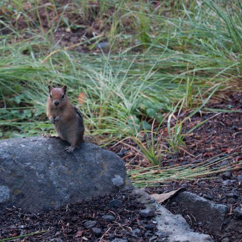 Walton Lake Camping | The Dyrt