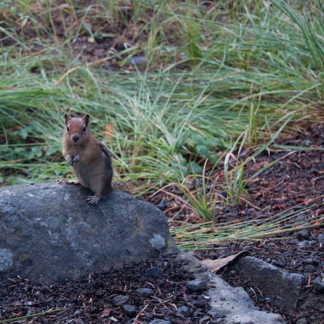 Walton Lake Camping | The Dyrt