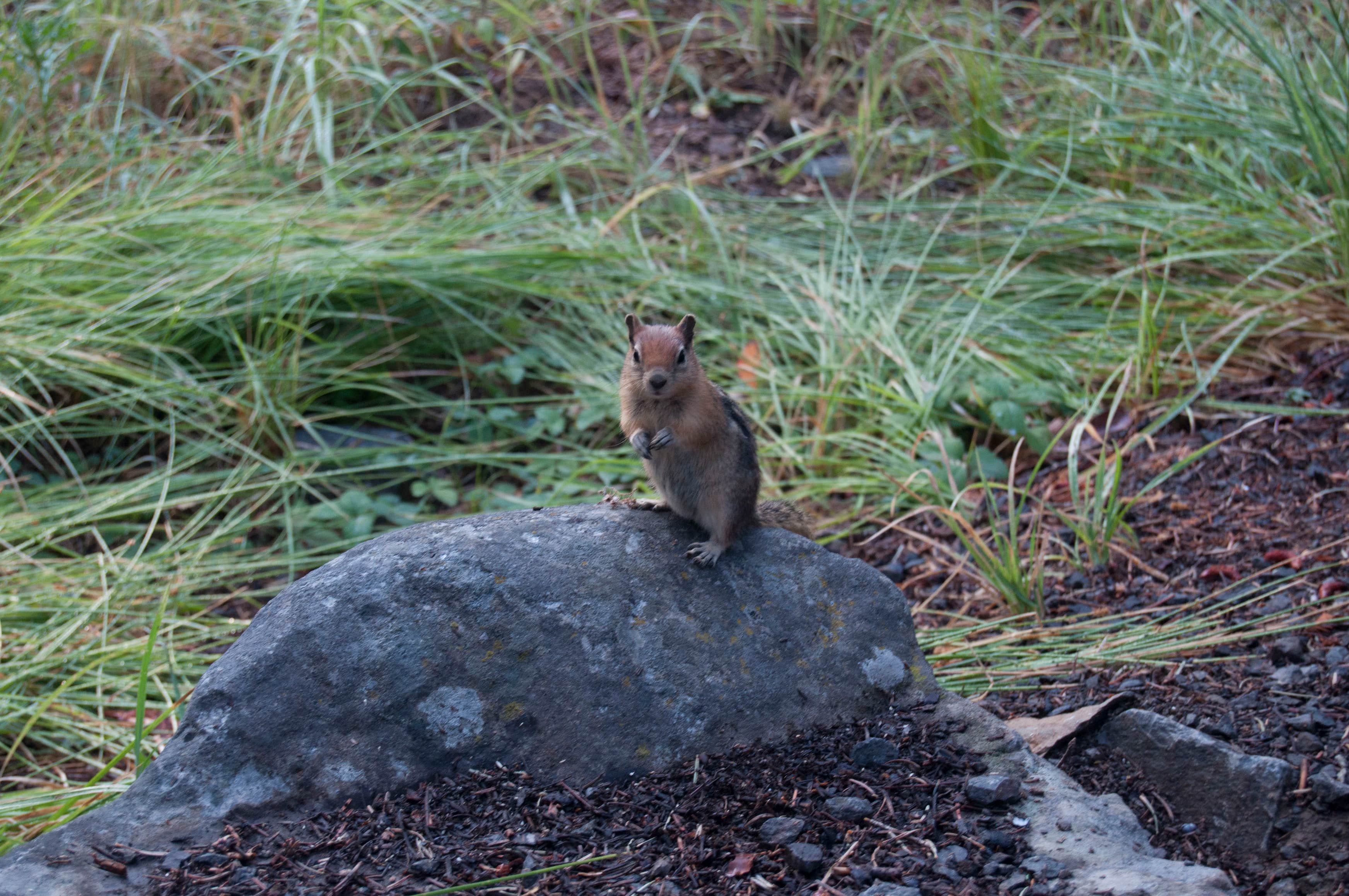 Walton Lake Camping | The Dyrt