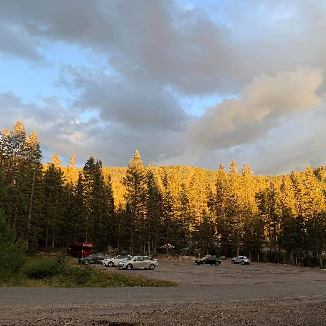 Aspen Basin Campground Camping | The Dyrt